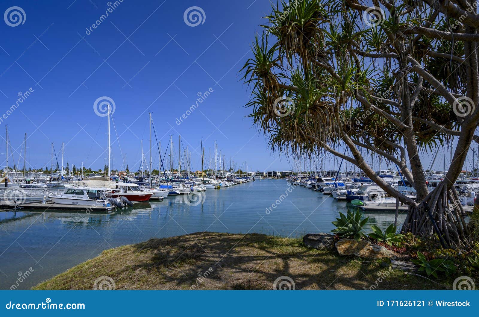 High Angle Shot of the Ships Parked in the Port Mooloolaba in Australia ...