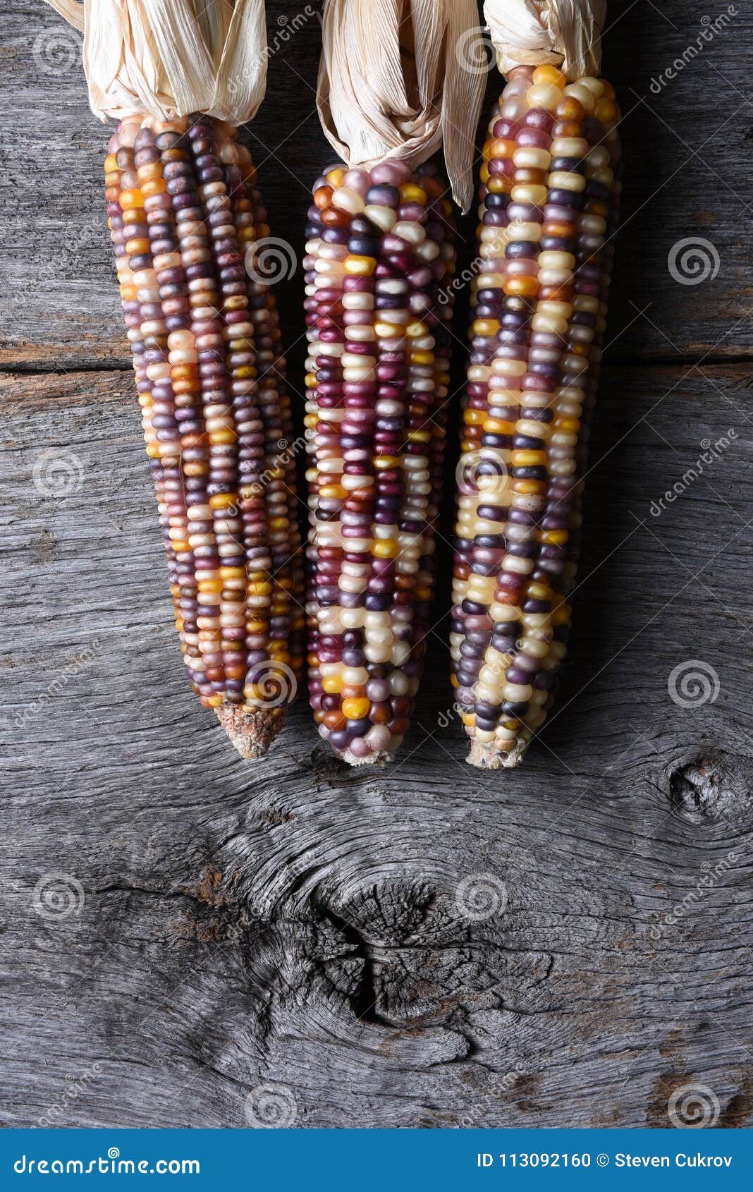 High Angle Shot of a Three Flint Corn Cobs Stock Photo - Image of ...