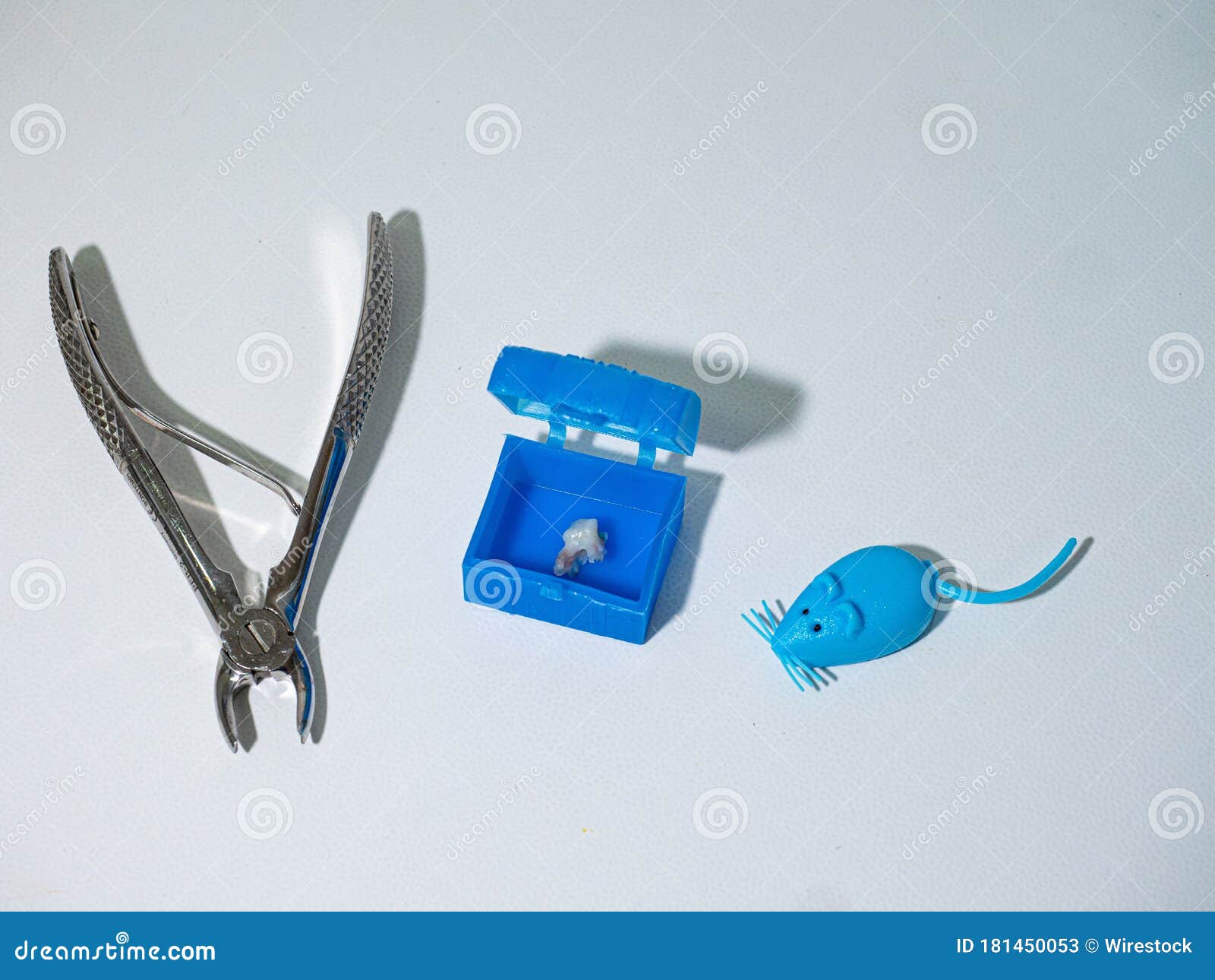 High Angle Shot of a Tooth in a Blue Box, a Plastic Mouse Toy, and a ...