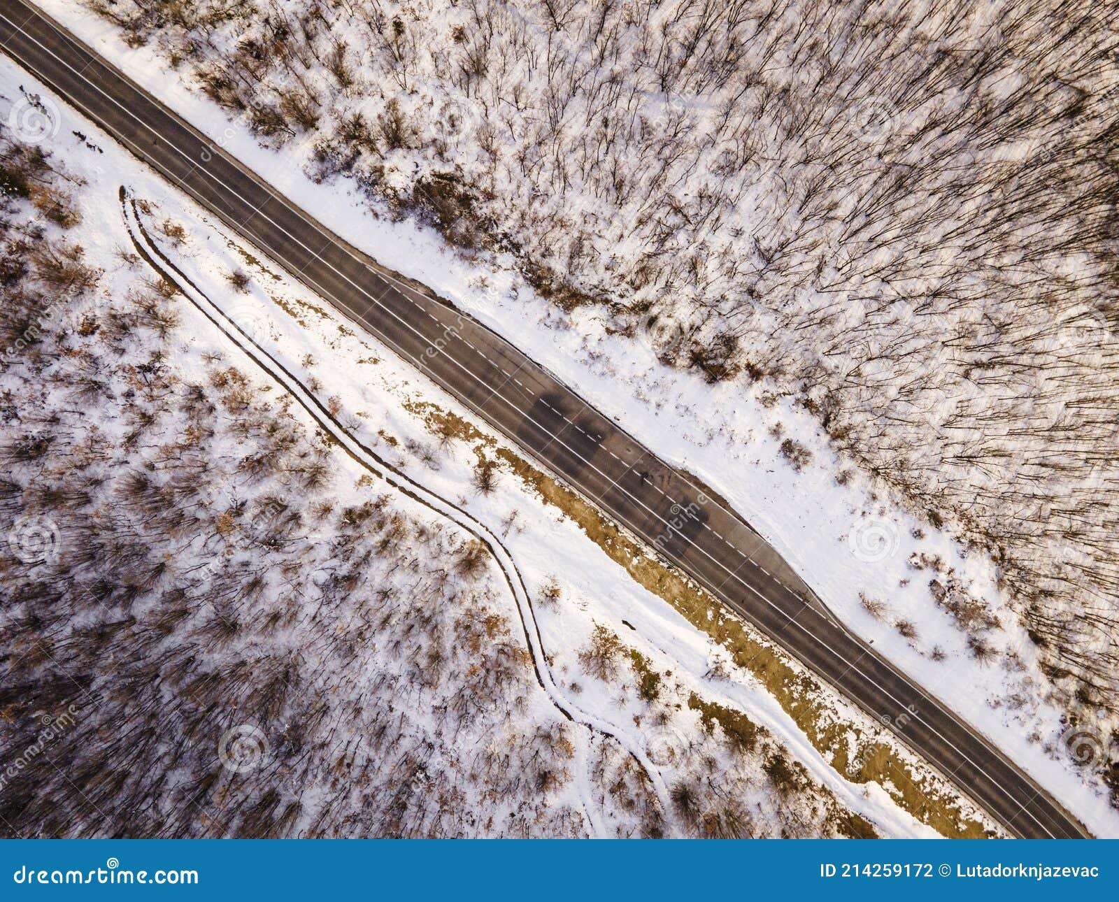 High Angle Top Down Aerial View Drone Image on Road Trough the Trees ...