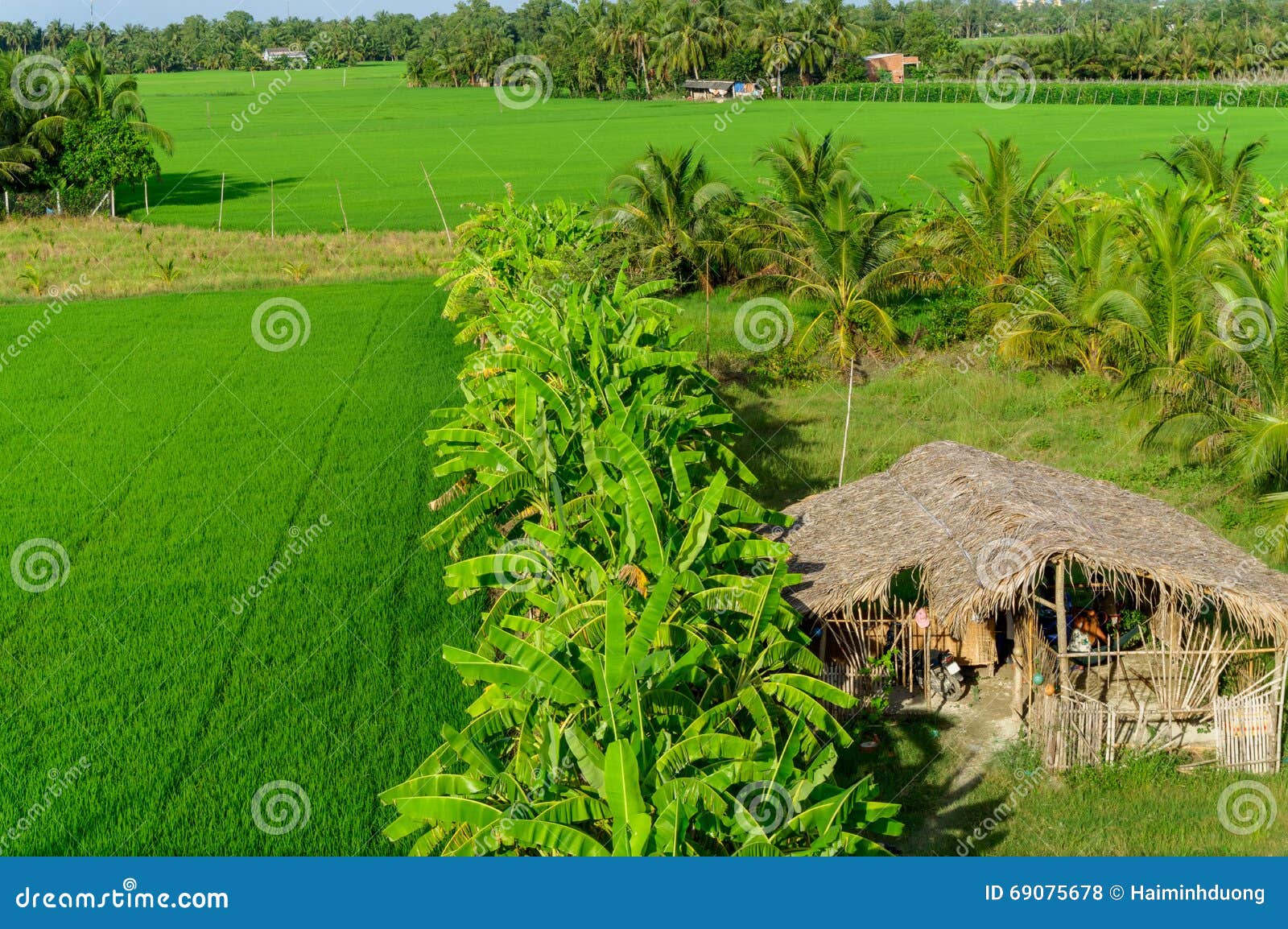 High Angle View in the Countryside Stock Photo - Image of angle, farm ...