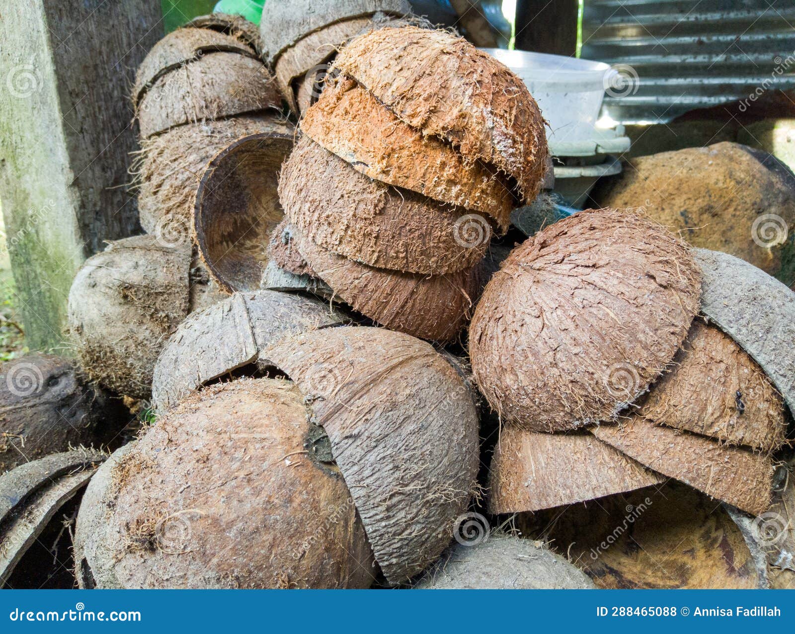 High Angle View of Empty Coconut Shells in Soft-focus in the Background ...