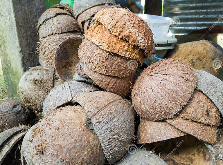 High Angle View of Empty Coconut Shells in Soft-focus in the Background ...