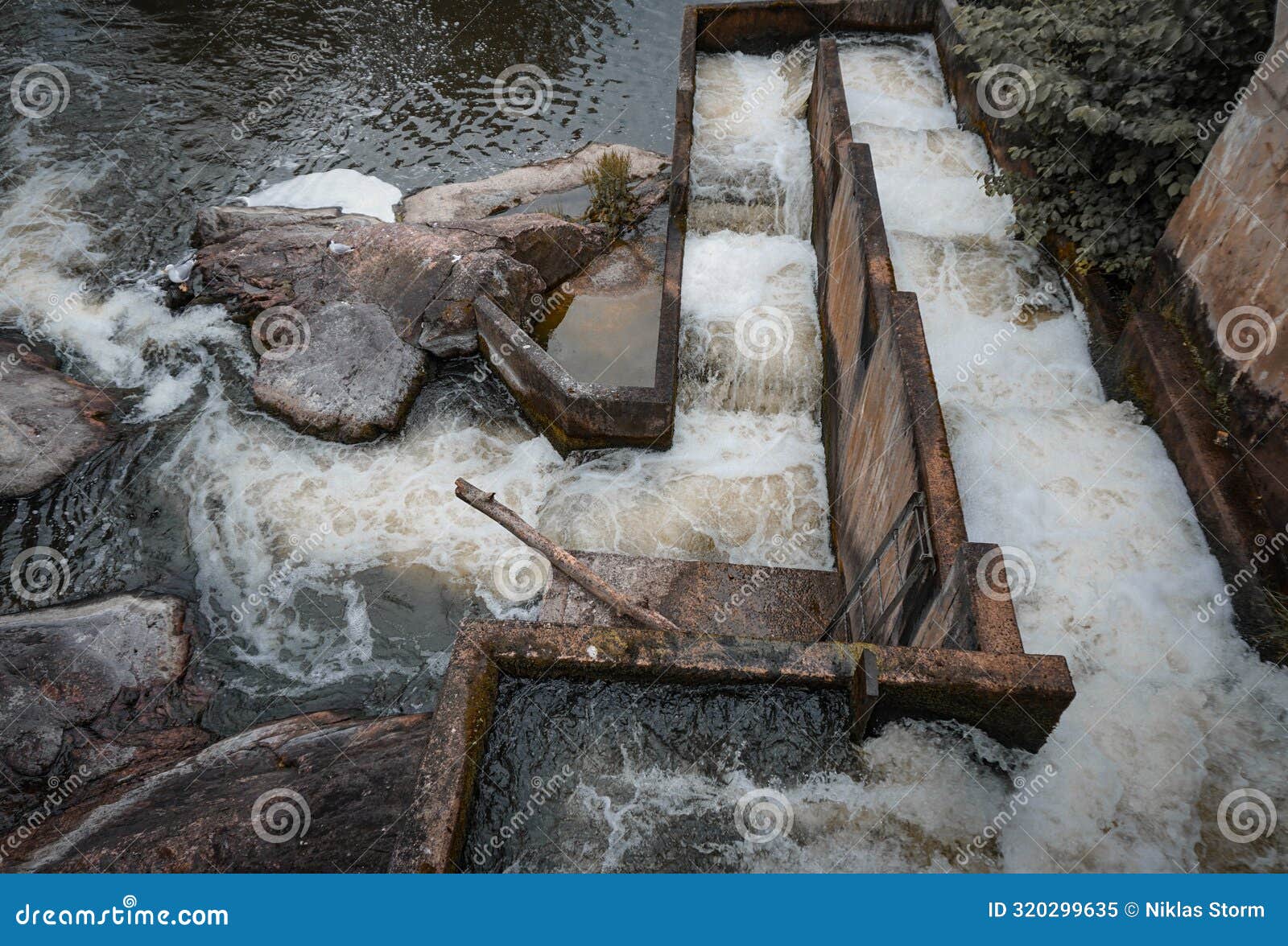 High Angle View of a Fish Ladder Stock Image - Image of person, nature ...