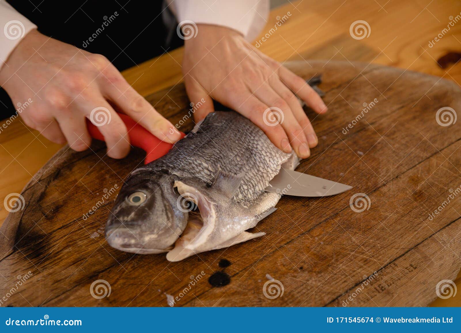 Chef cooking a fish stock photo. Image of counter, learning - 171545674