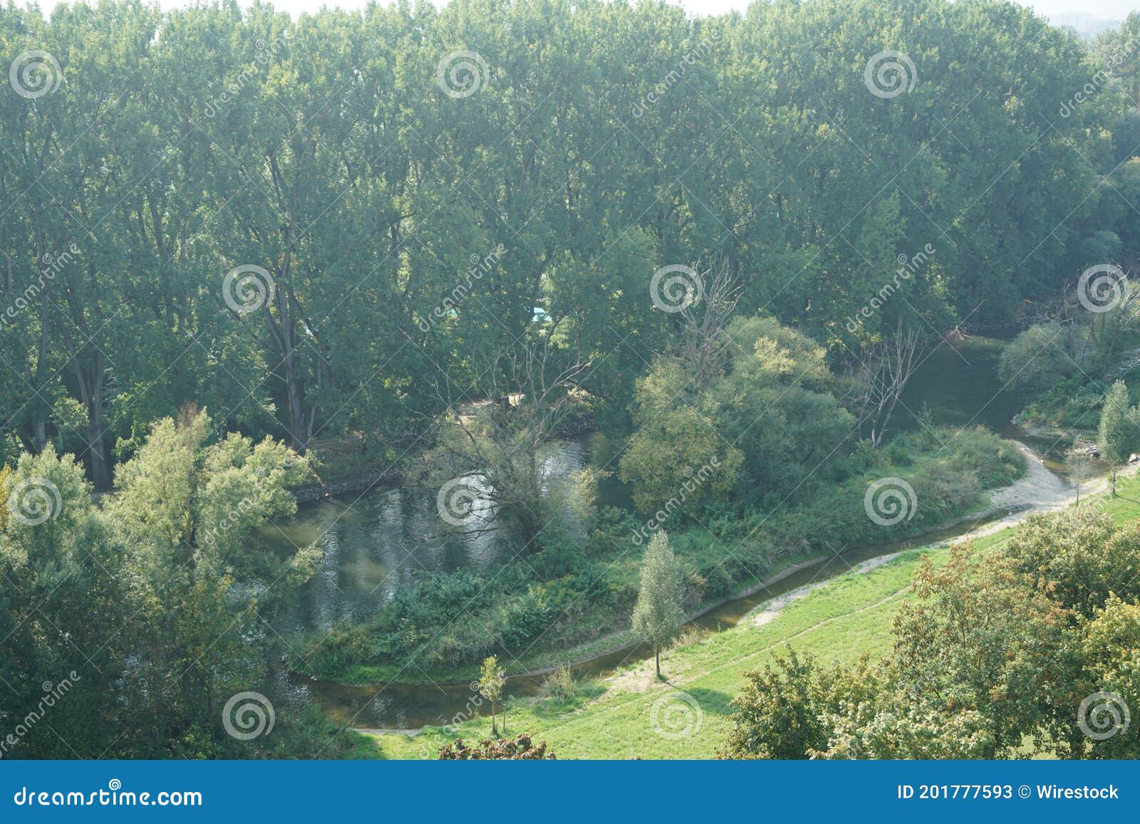 High Angle View from a Hill of a Green Forest with Various Types of ...