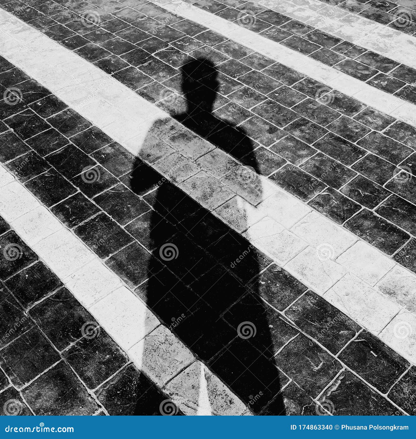 High Angle View of Human Shadow on Crosswalk Stock Photo - Image of ...