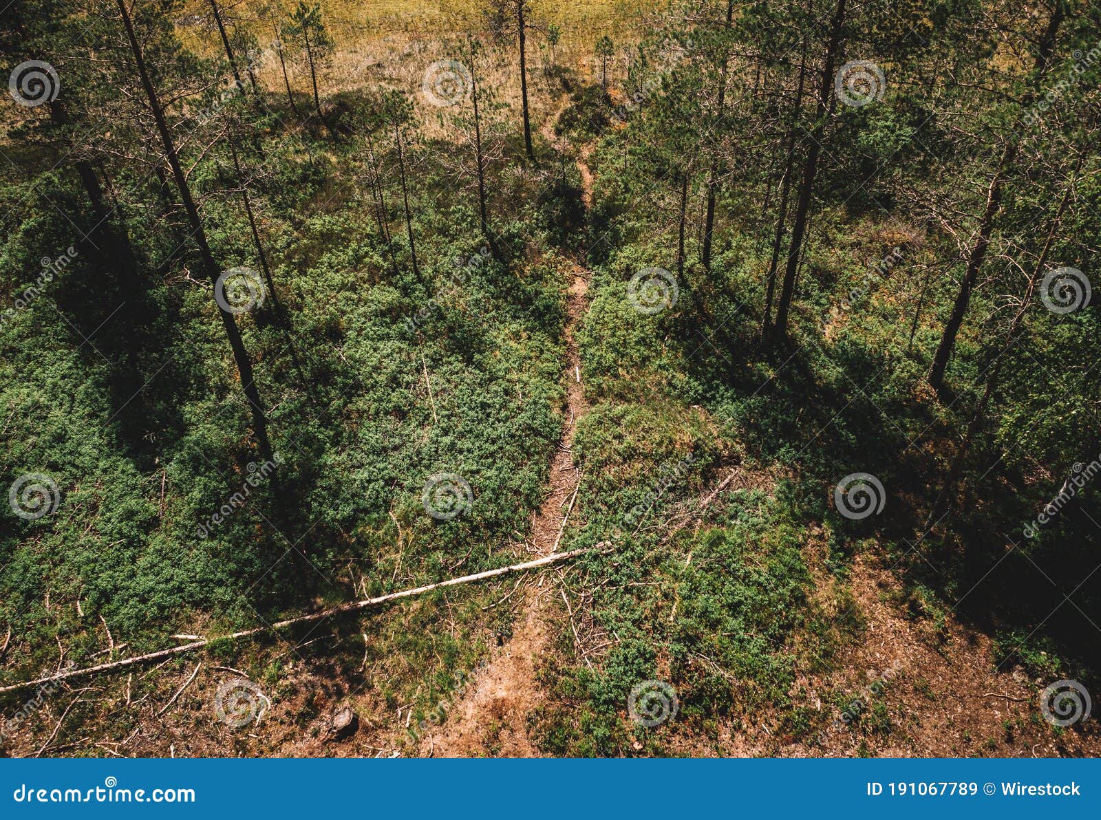 High Angle View of a Mountain Road in a Forest Stock Image - Image of ...