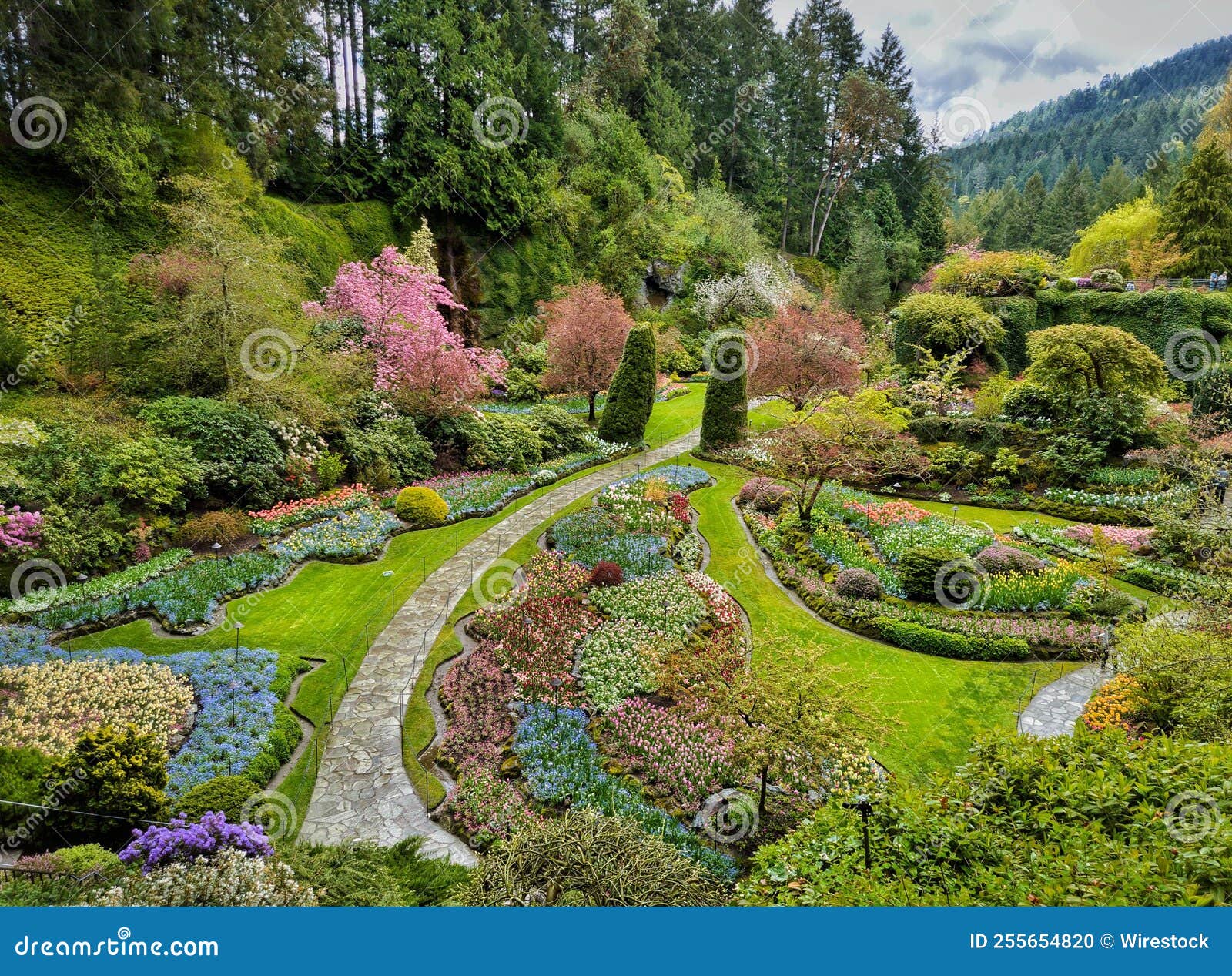 High-angle View of a Pathway of the Beautiful Botanical Garden Stock ...