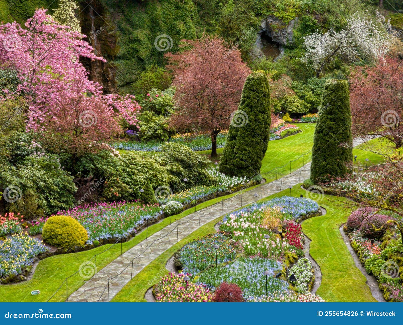 High-angle View of a Pathway of the Stunning Botanical Garden Stock ...
