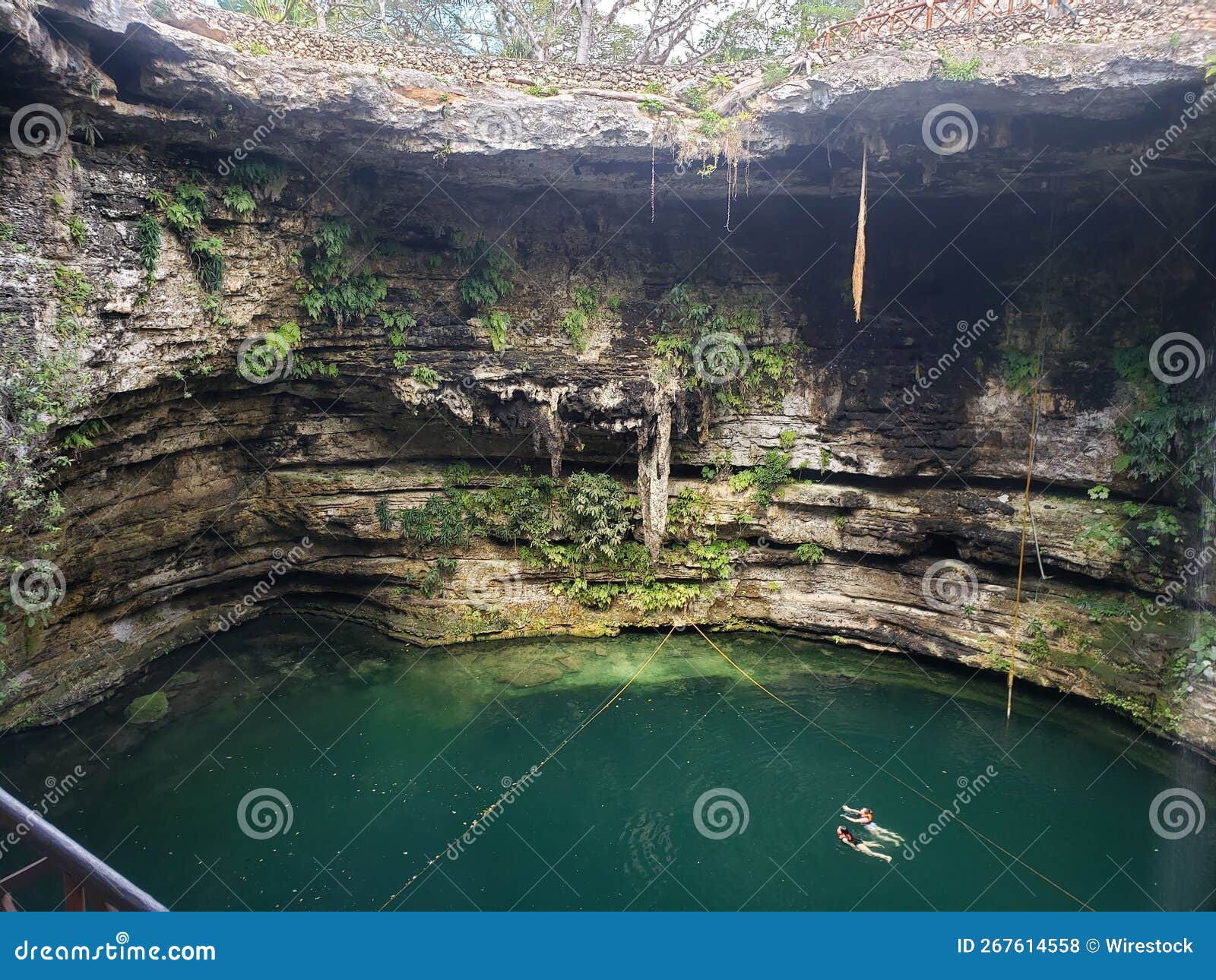 High Angle View of People Swimming in the Cave Pond Stock Photo - Image ...