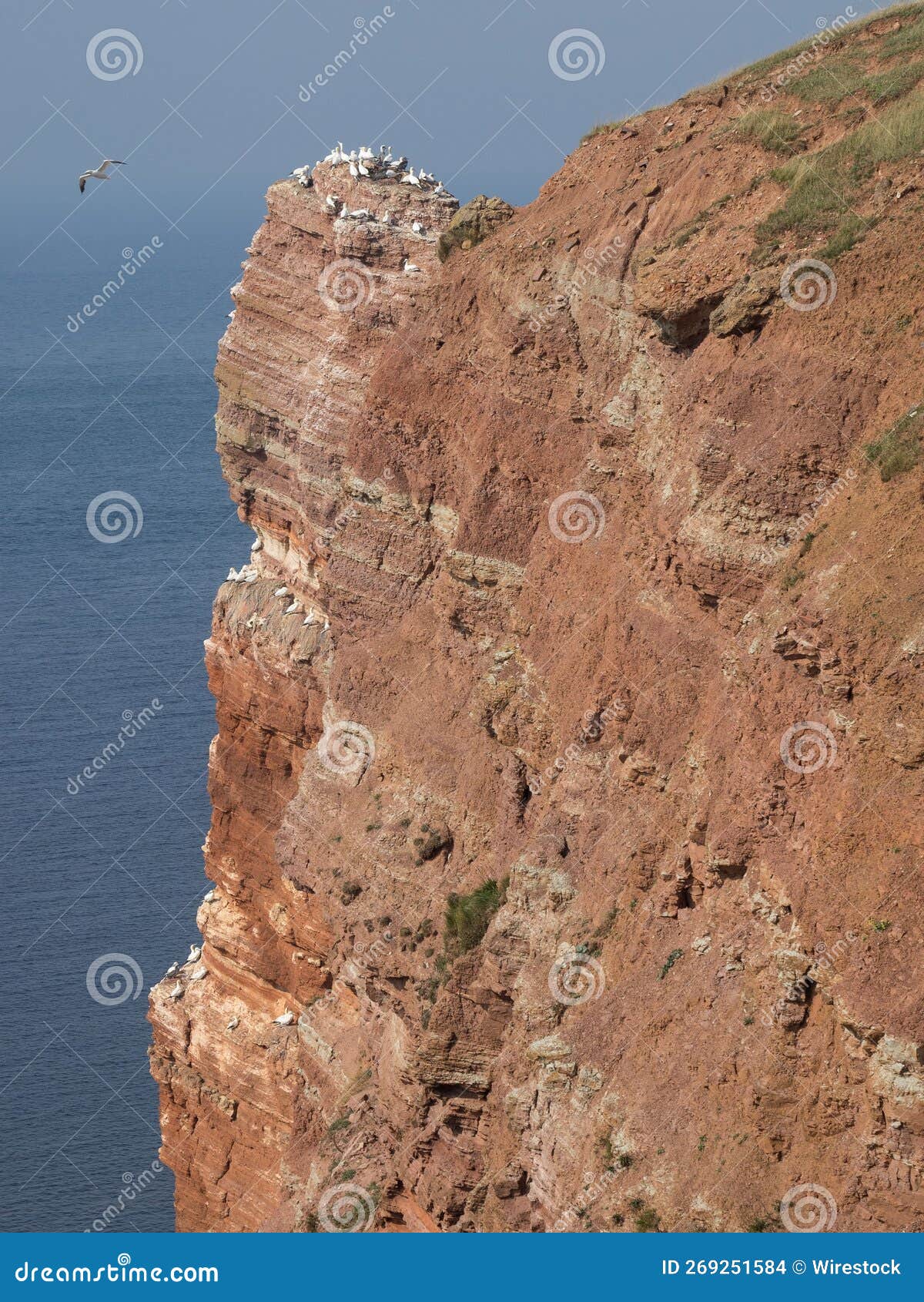 High-angle View of a Rocky Mountain. Stock Photo - Image of bird ...