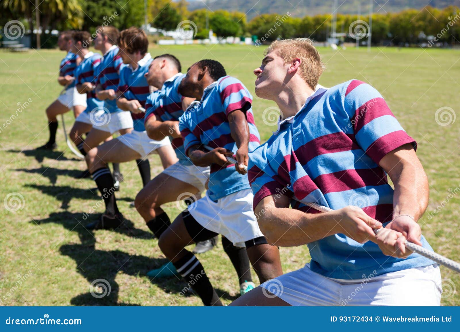 High Angle View of Rugby Player Pulling Rope Stock Photo - Image of ...