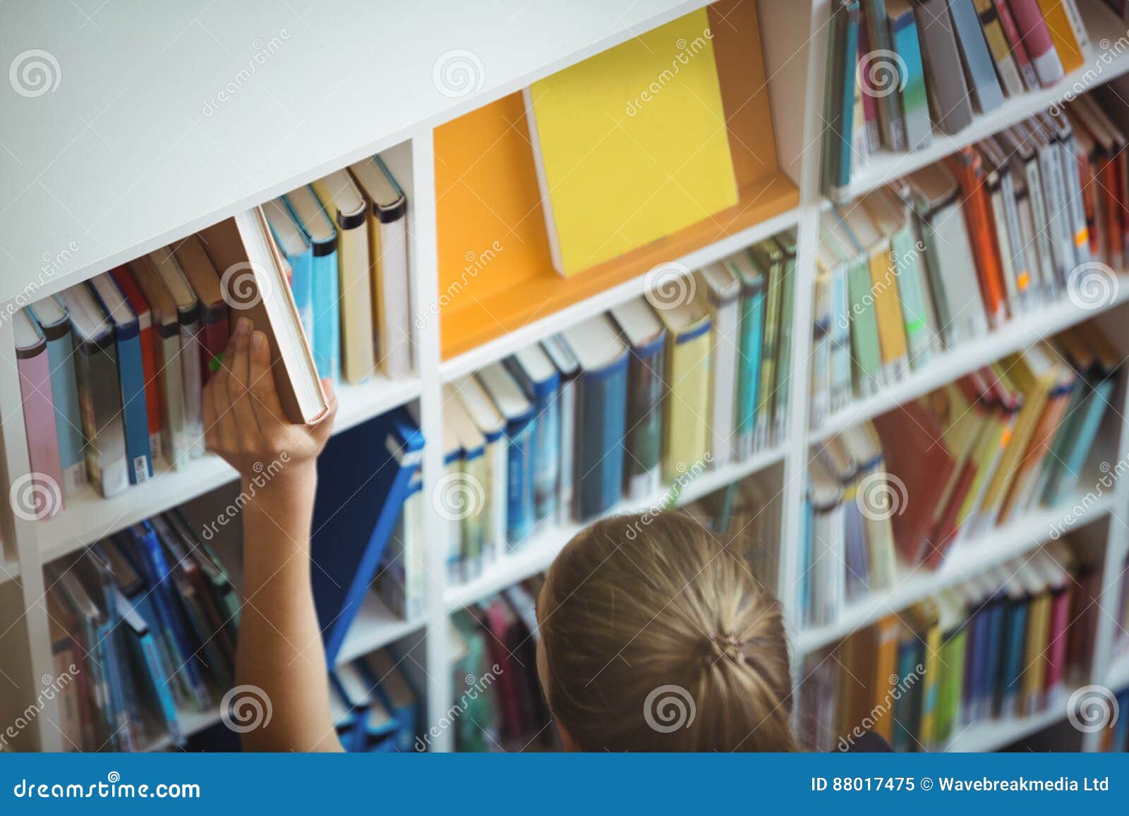 High Angle View of Schoolgirl Selecting Book from Bookshelf in Library ...