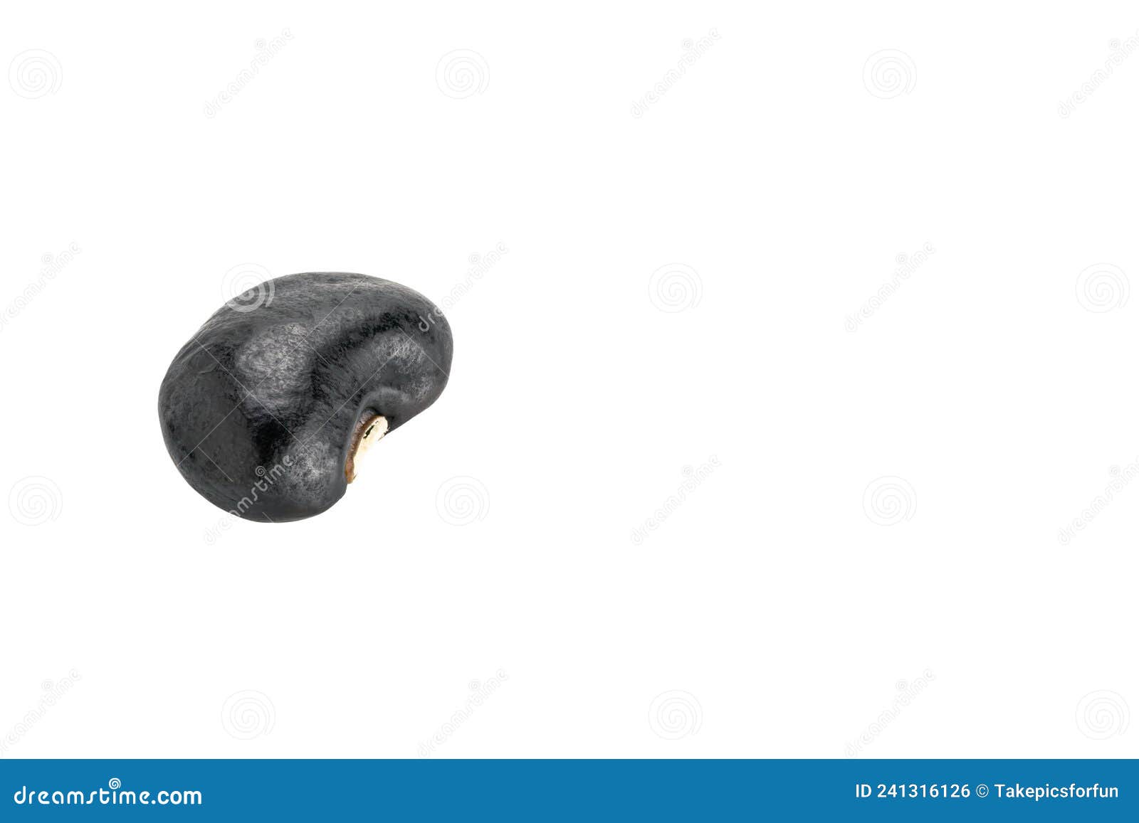 High Angle View of Single Back Bean Isolated on White Background Stock ...