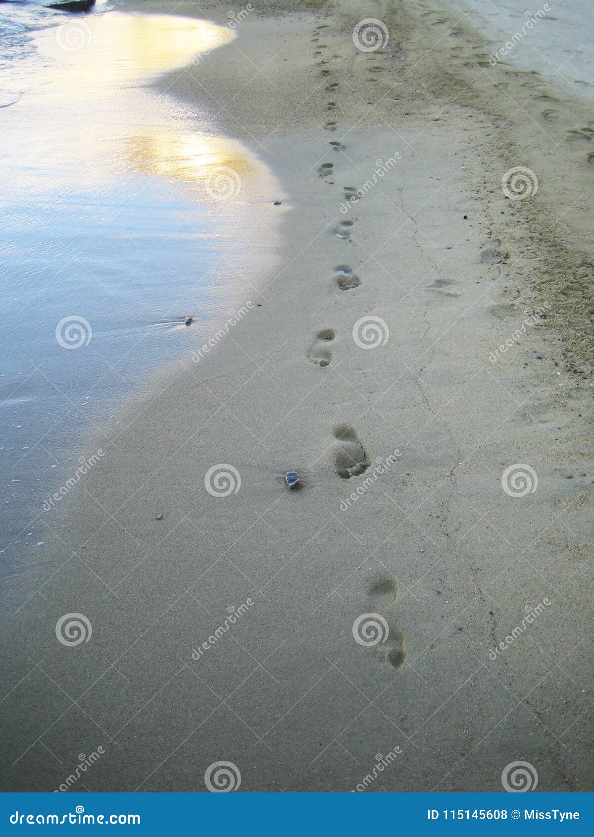 High Angle View of Single Footprints on a Beach Stock Photo - Image of ...