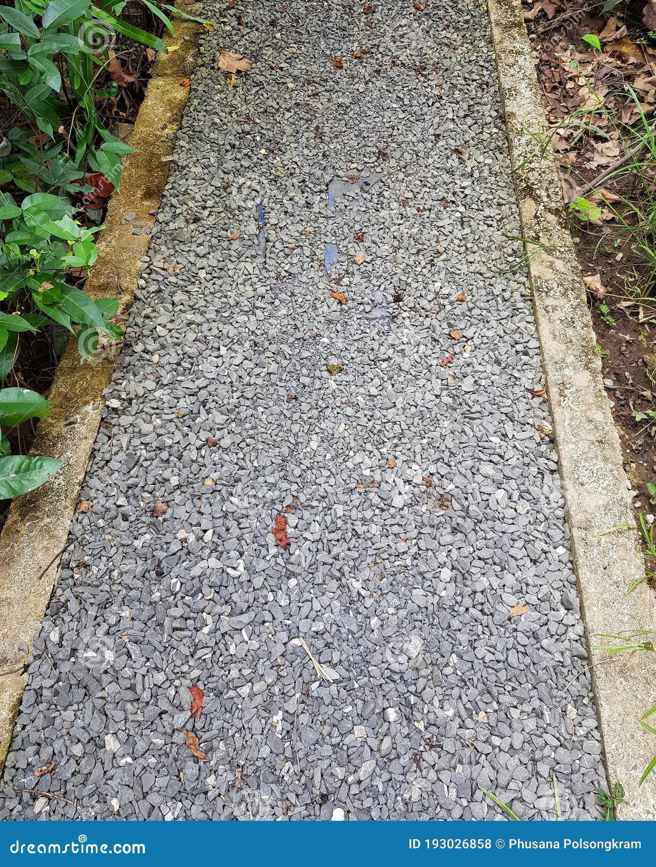 High Angle View of Stones on Walkway Stock Photo - Image of gravel ...