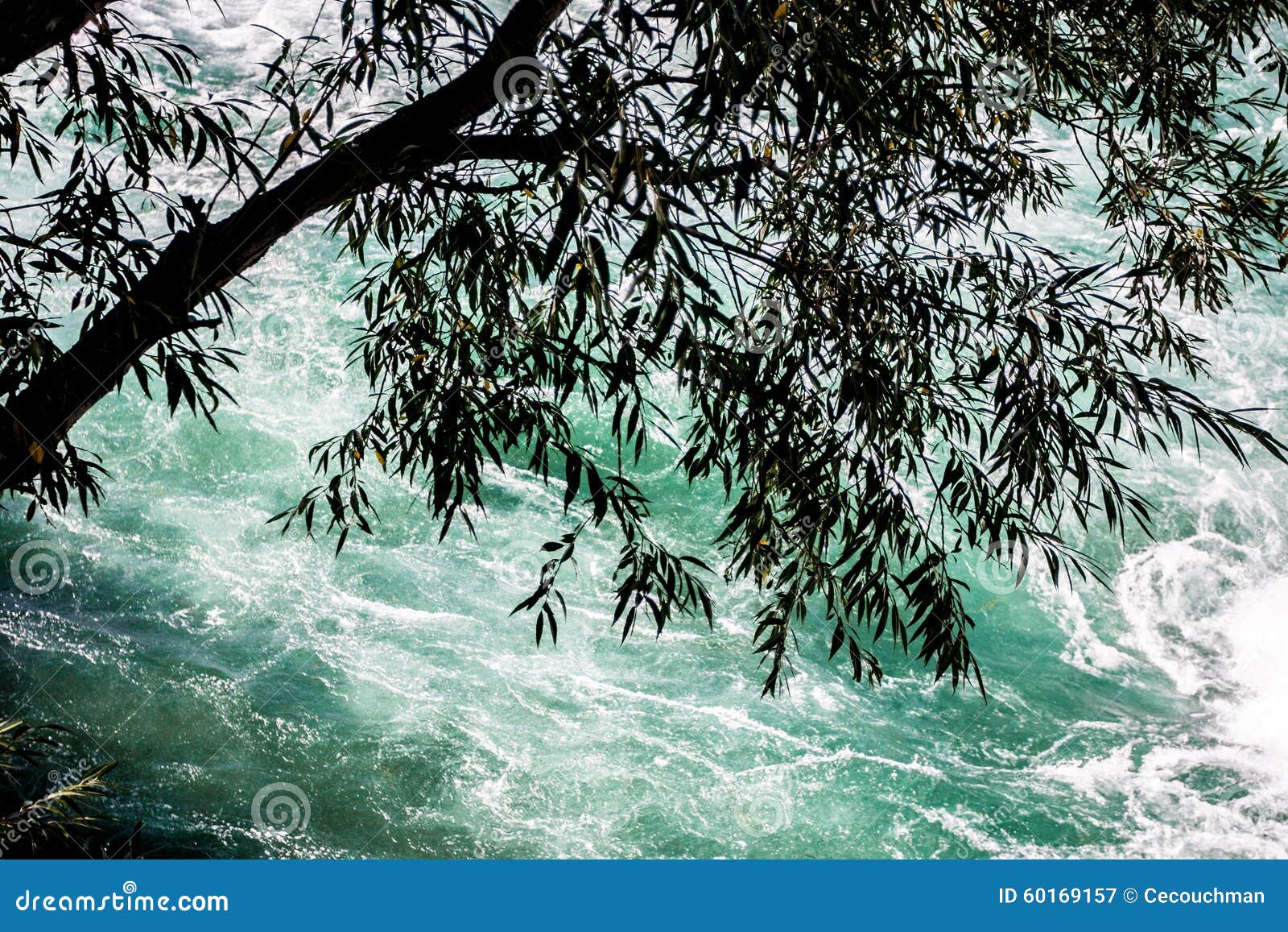 High-Angle View of Tree Hanging Over Rushing River Stock Image - Image ...