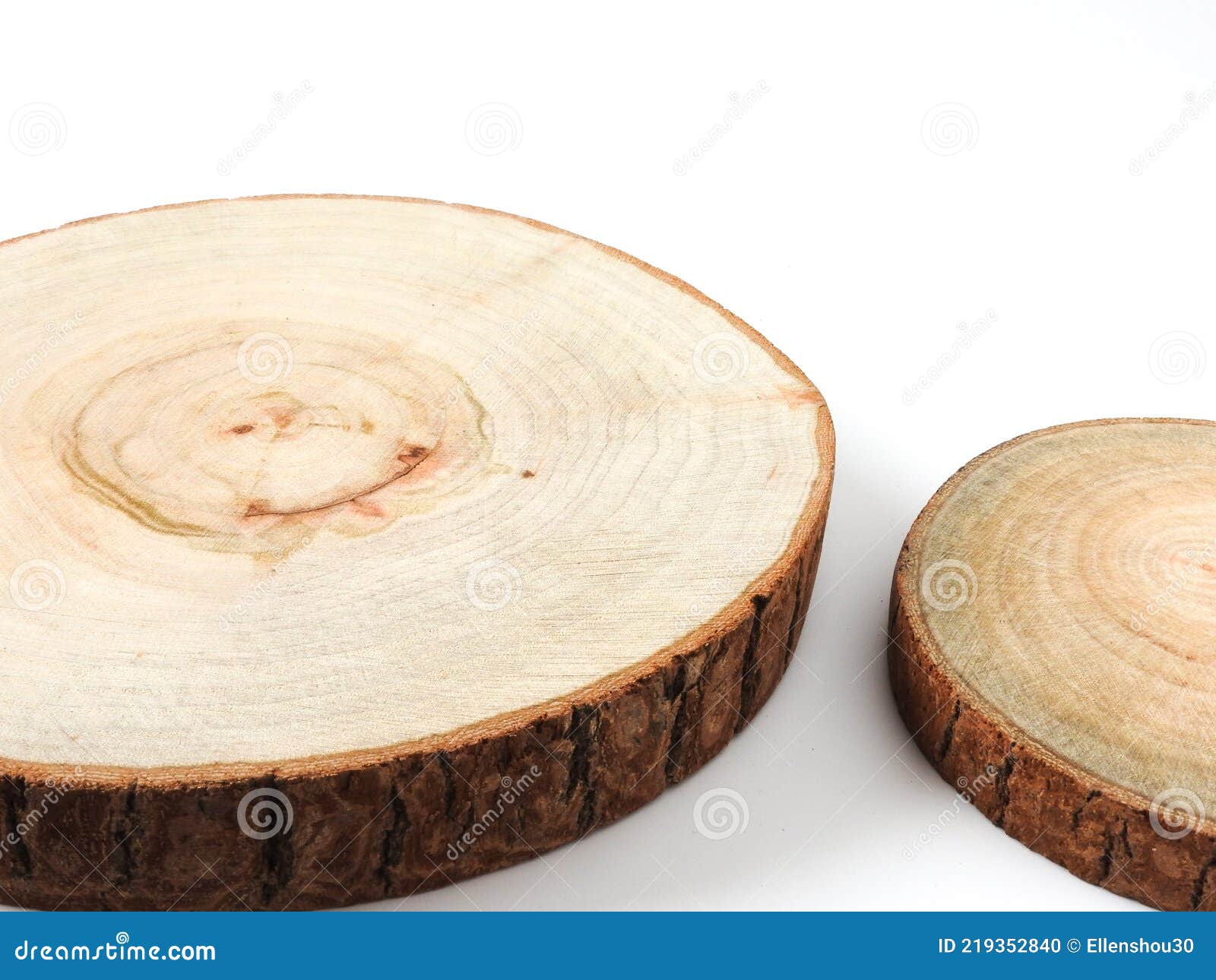 High Angle View of Two Rounded Wood Slices Isolated on White Background ...