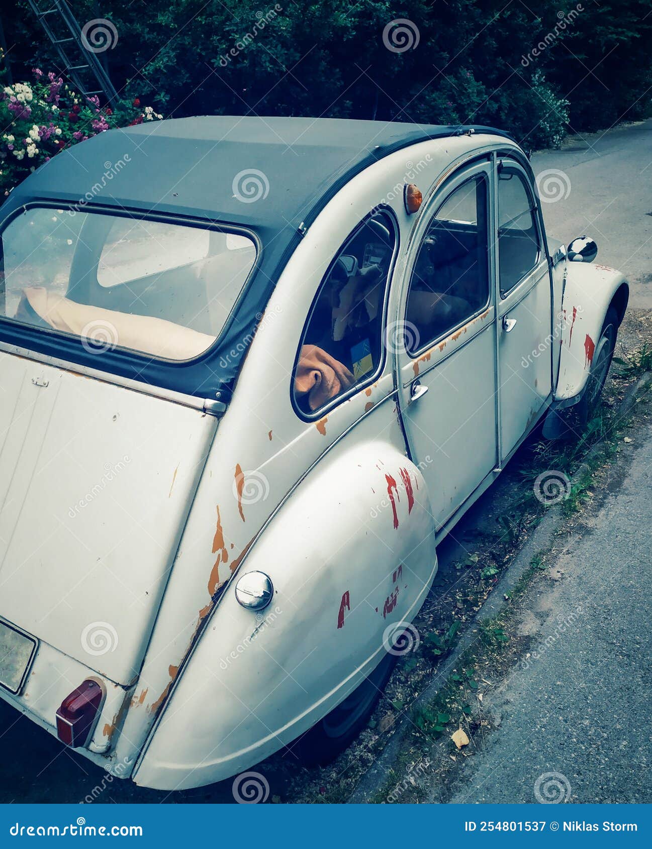High Angle View of Vintage Car on Road Stock Image - Image of view ...