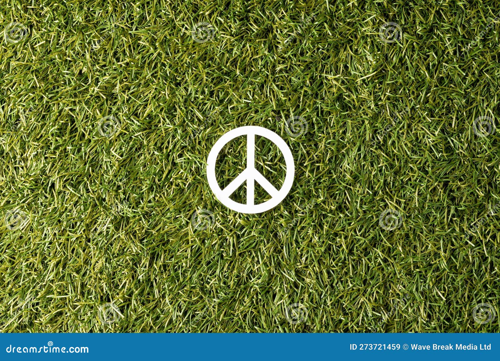 High Angle View of White Peace Sign with Copy Space on Grass Background ...