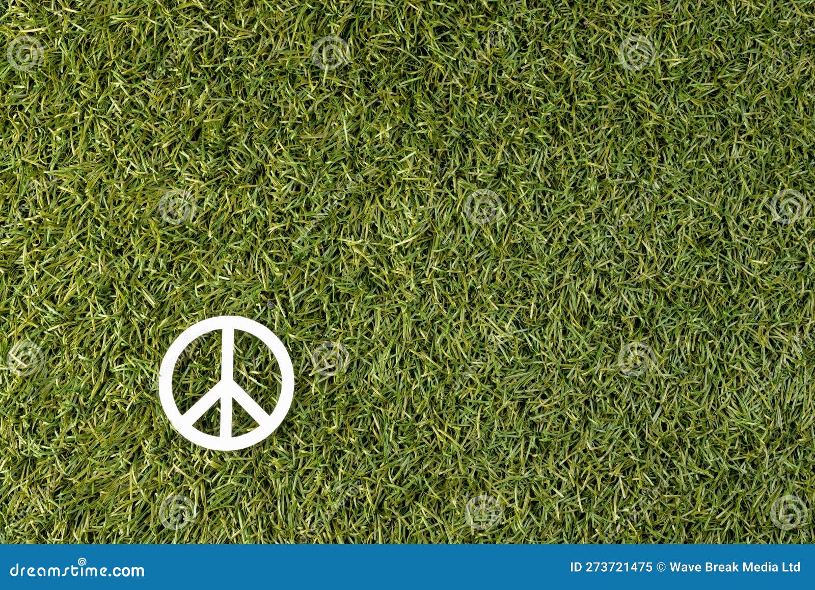High Angle View of White Peace Sign with Copy Space on Grass Background ...