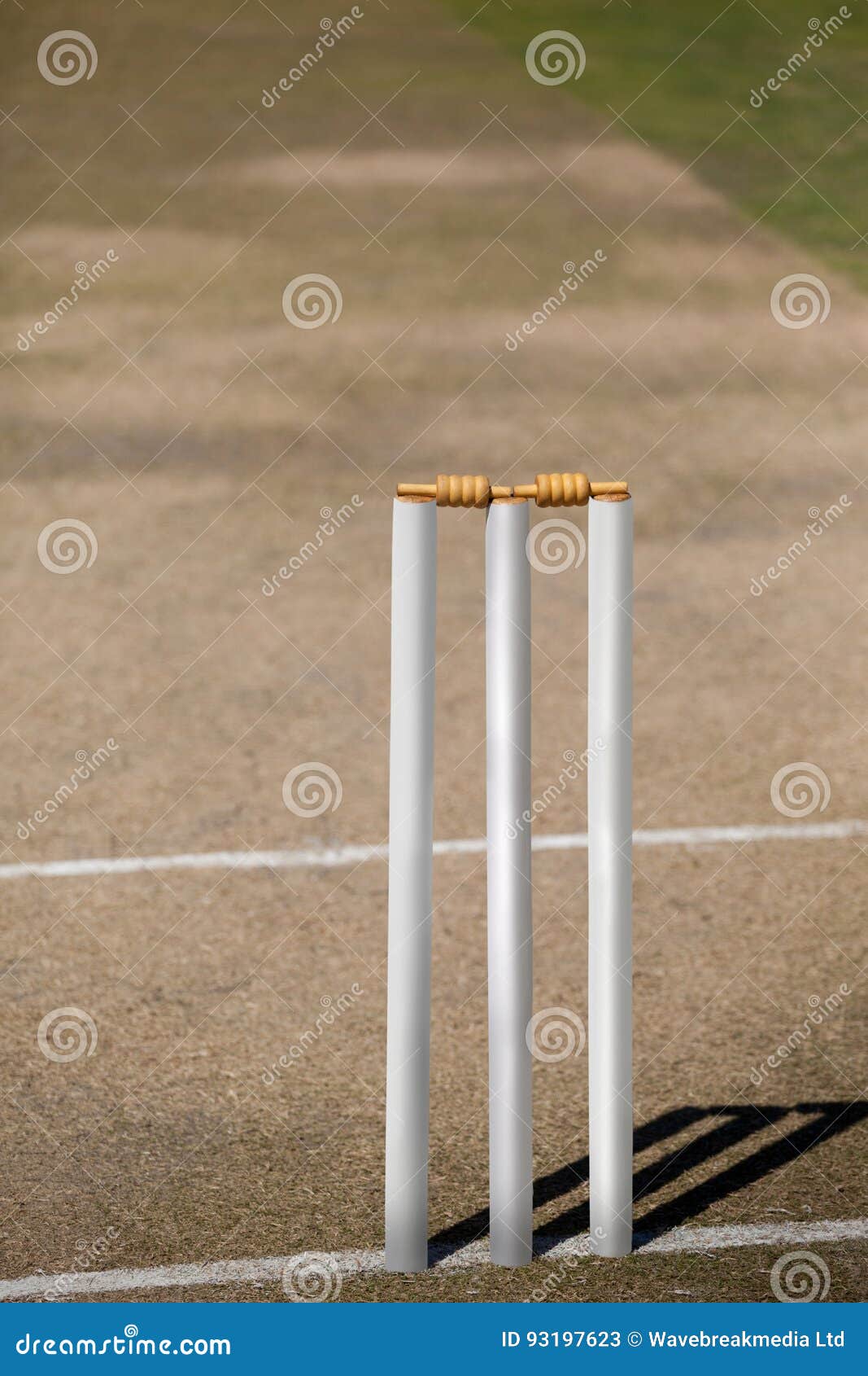 High Angle View of White Stumps on Cricket Field Stock Image - Image of ...