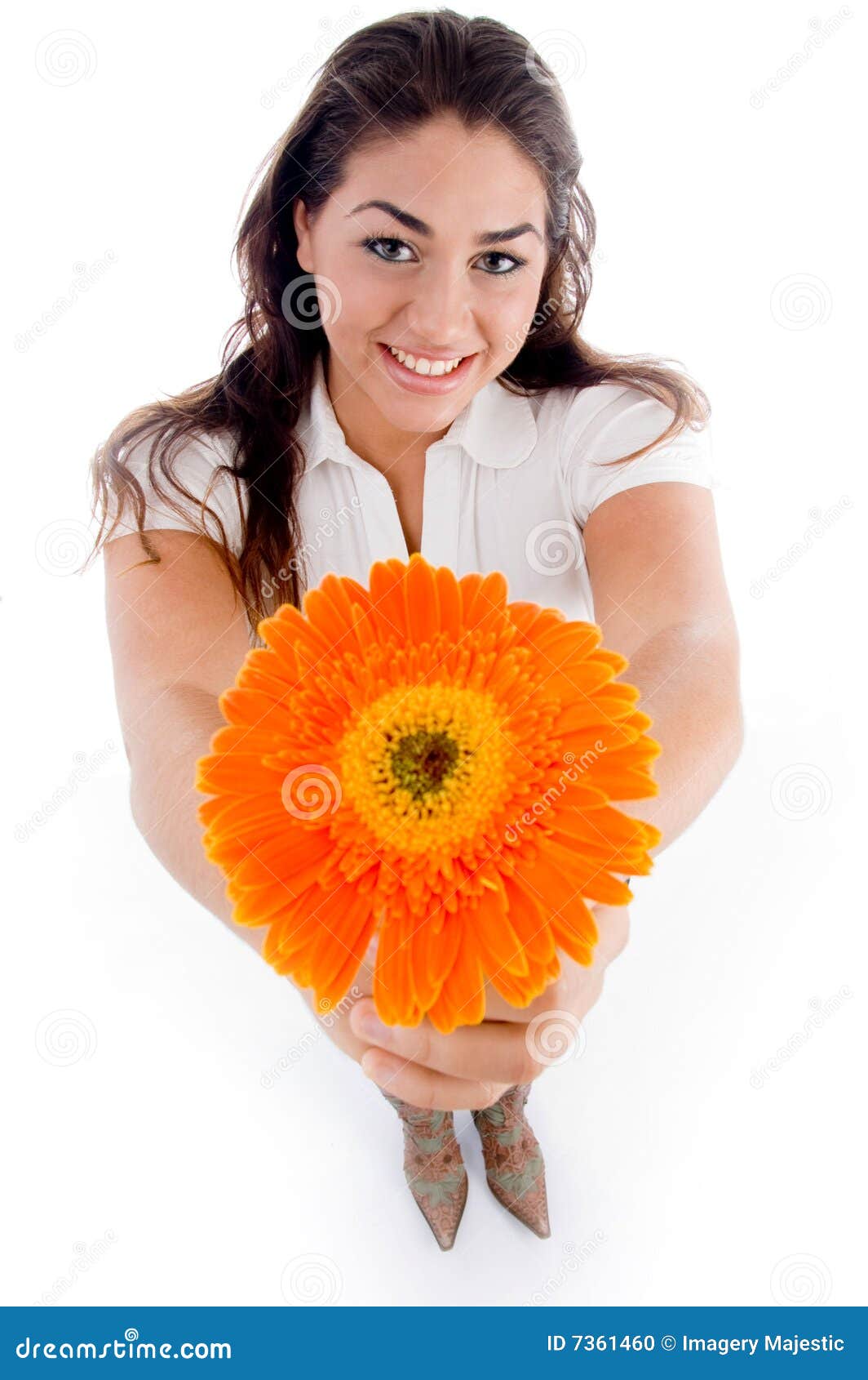 High Angle View of Woman Showing Flower Stock Photo - Image of fashion ...