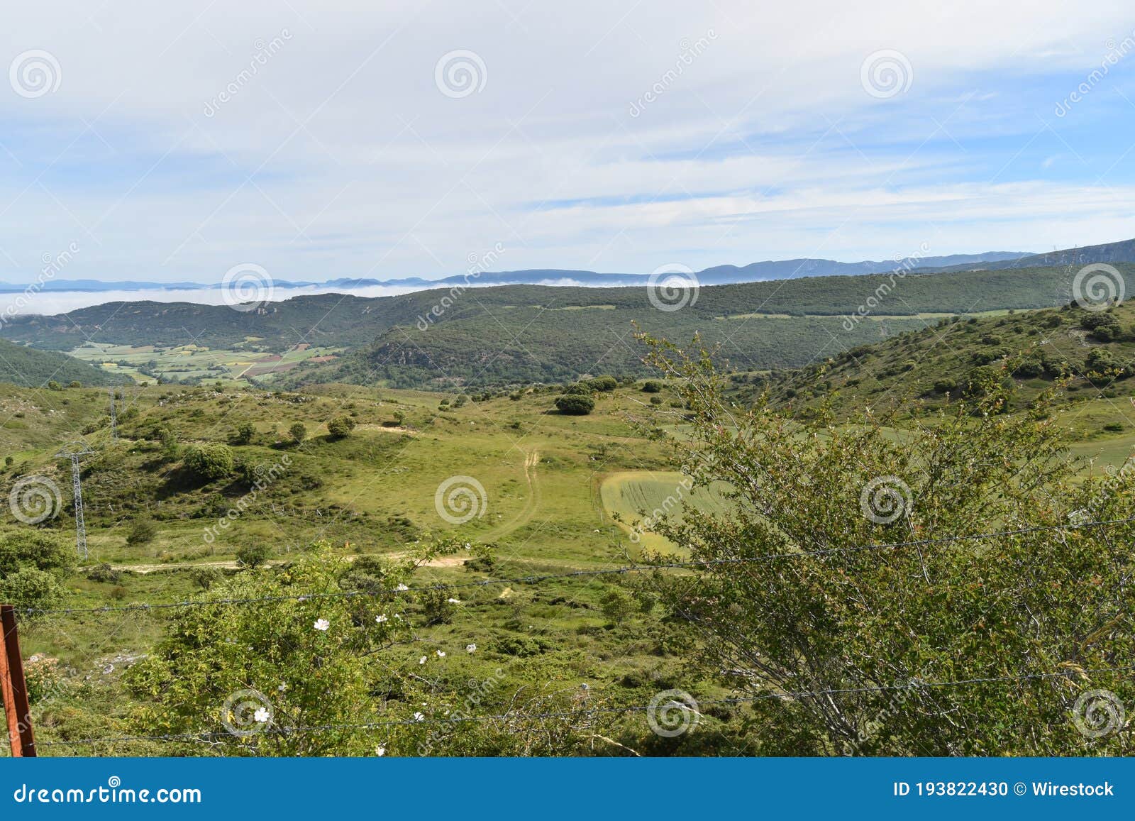High Angle Wide Shot of a Greenfield during a Sunny Day Stock Photo ...