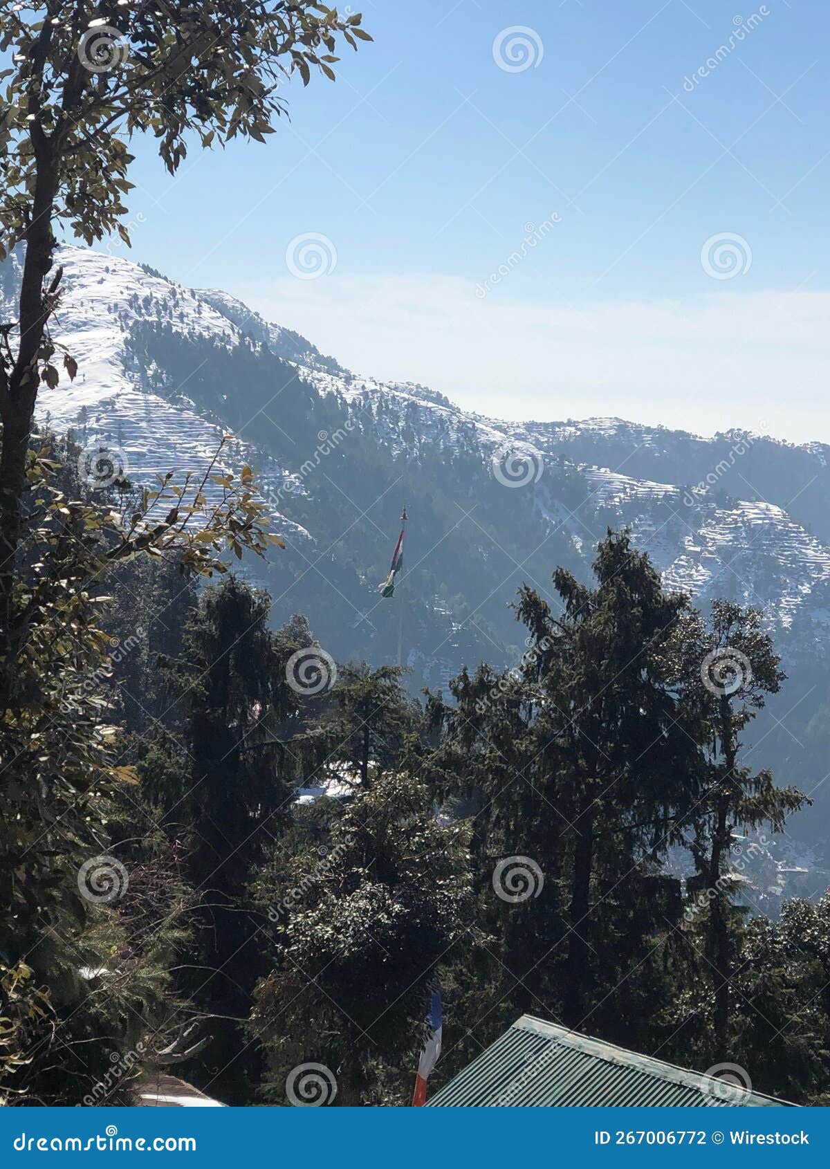 High-angle of a Winter Landscape with Forest Downhills on a Sunny Day ...