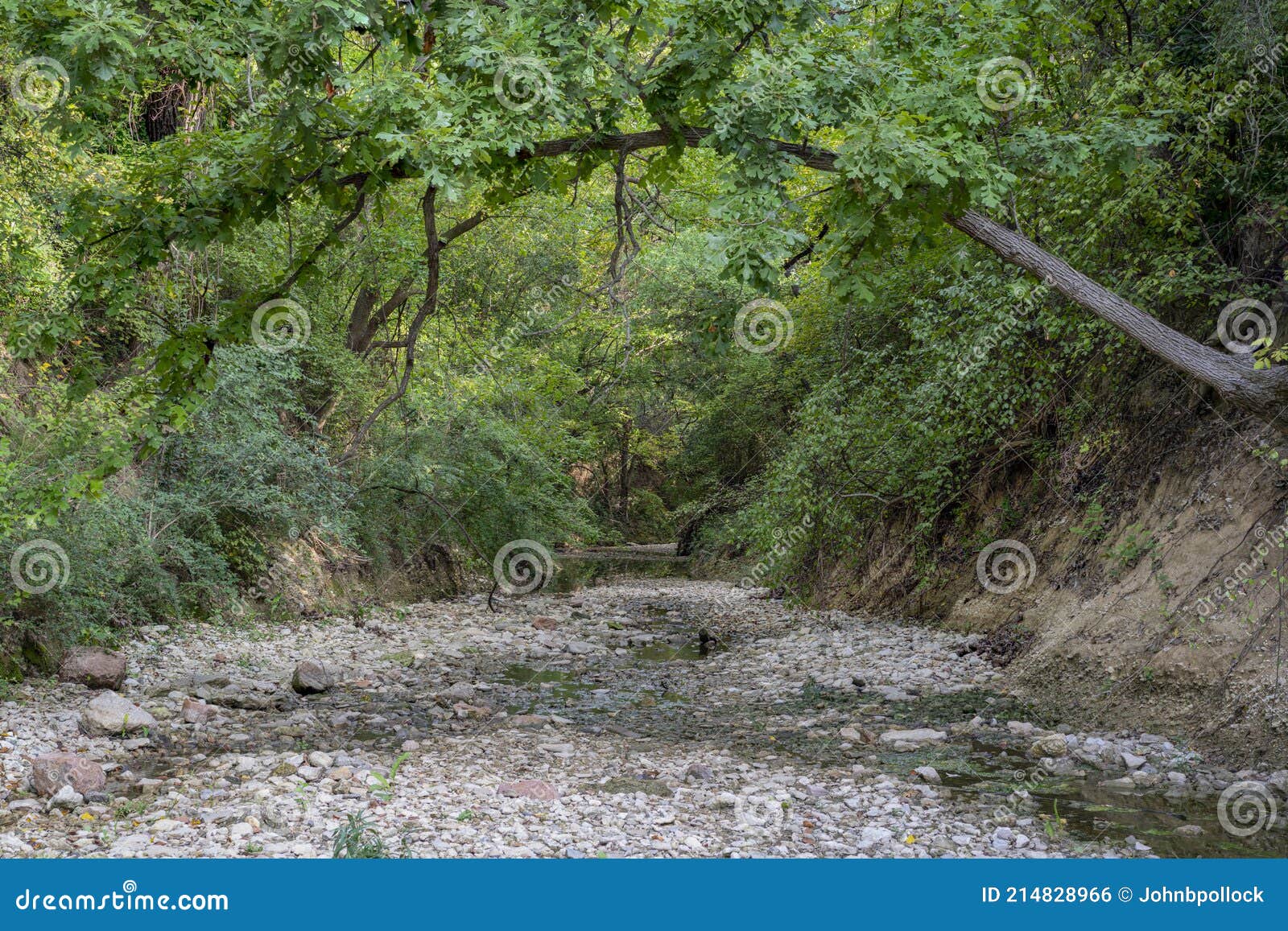 Arching Tree Branch Over The Farming Path Next To Stone Fence. Very ...