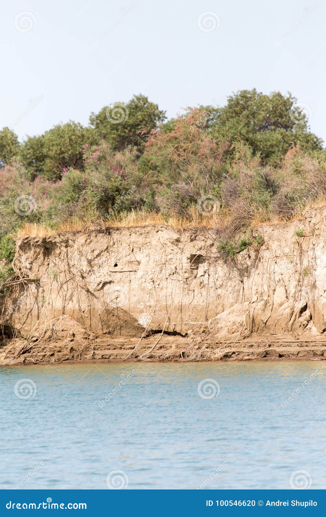 High bank on the river . stock photo. Image of nature - 100546620