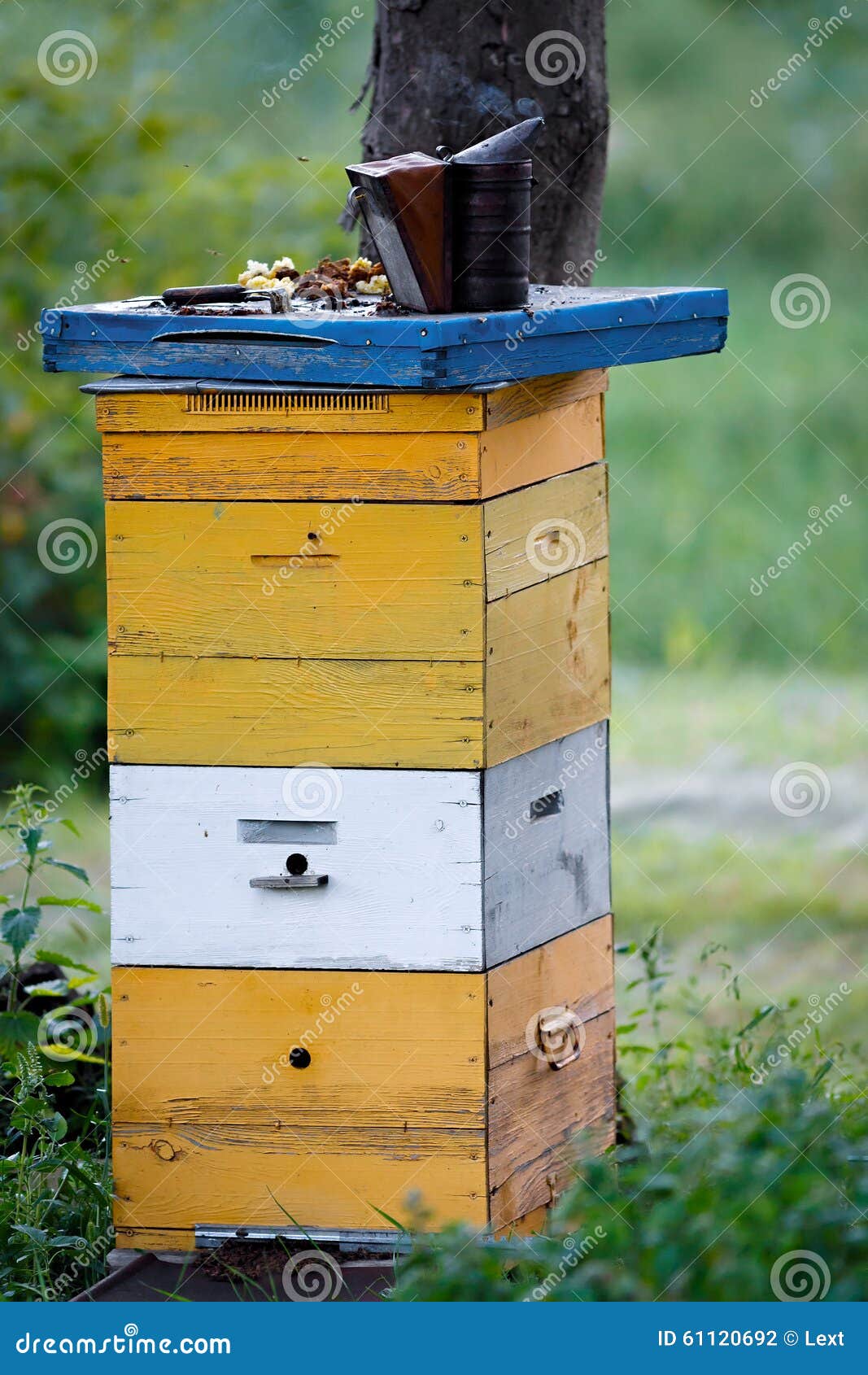 High bee hive in apiary stock photo. Image of outdoors - 61120692