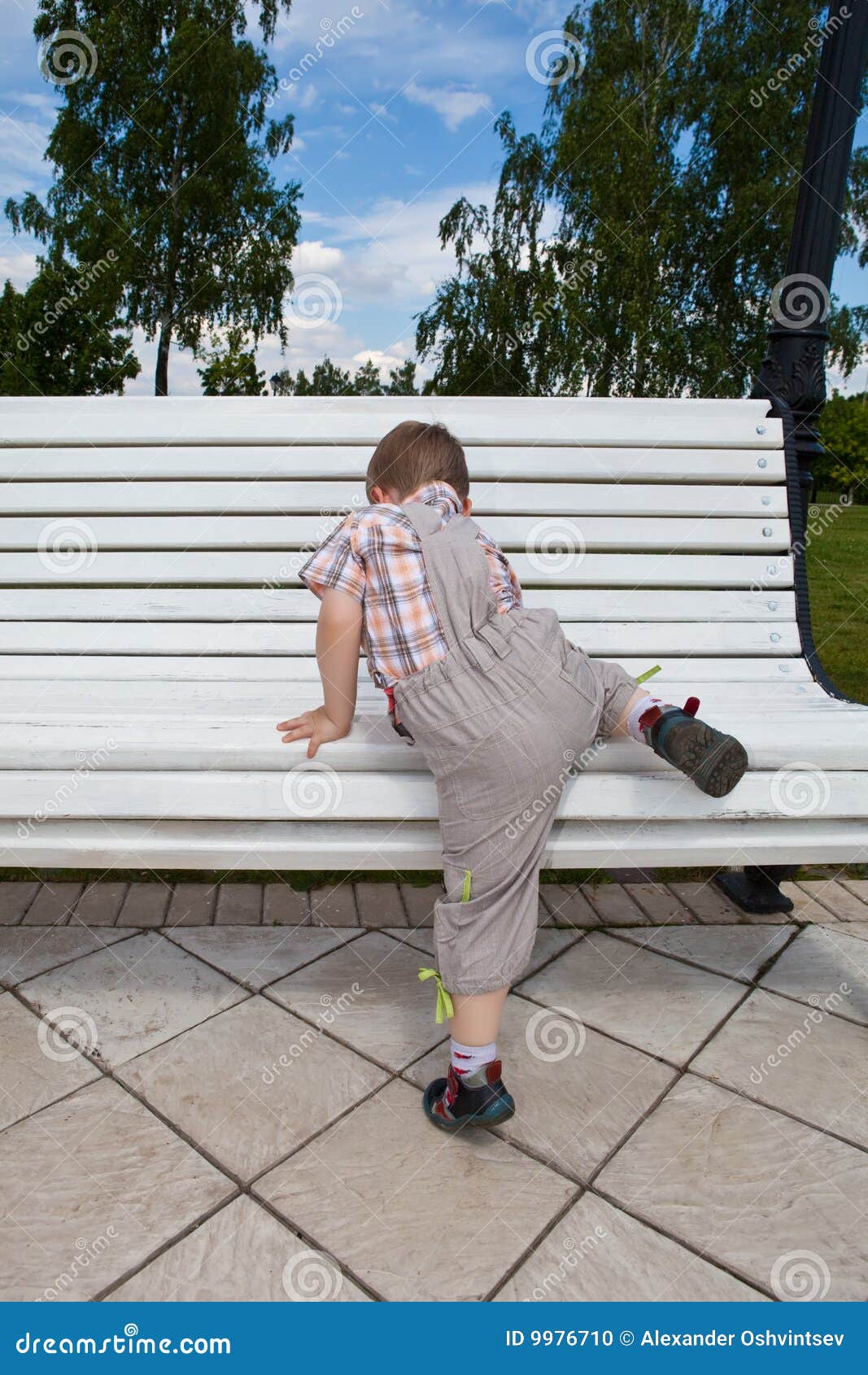 High bench stock photo. Image of blue, park, tree, high - 9976710