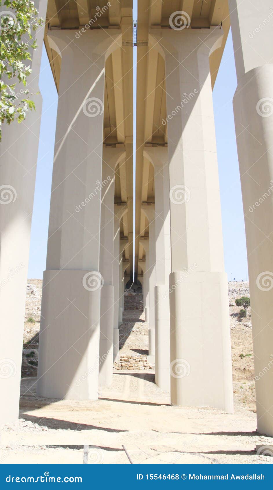 Lebanese Engineer Stock Photos - Free & Royalty-Free Stock Photos from ...