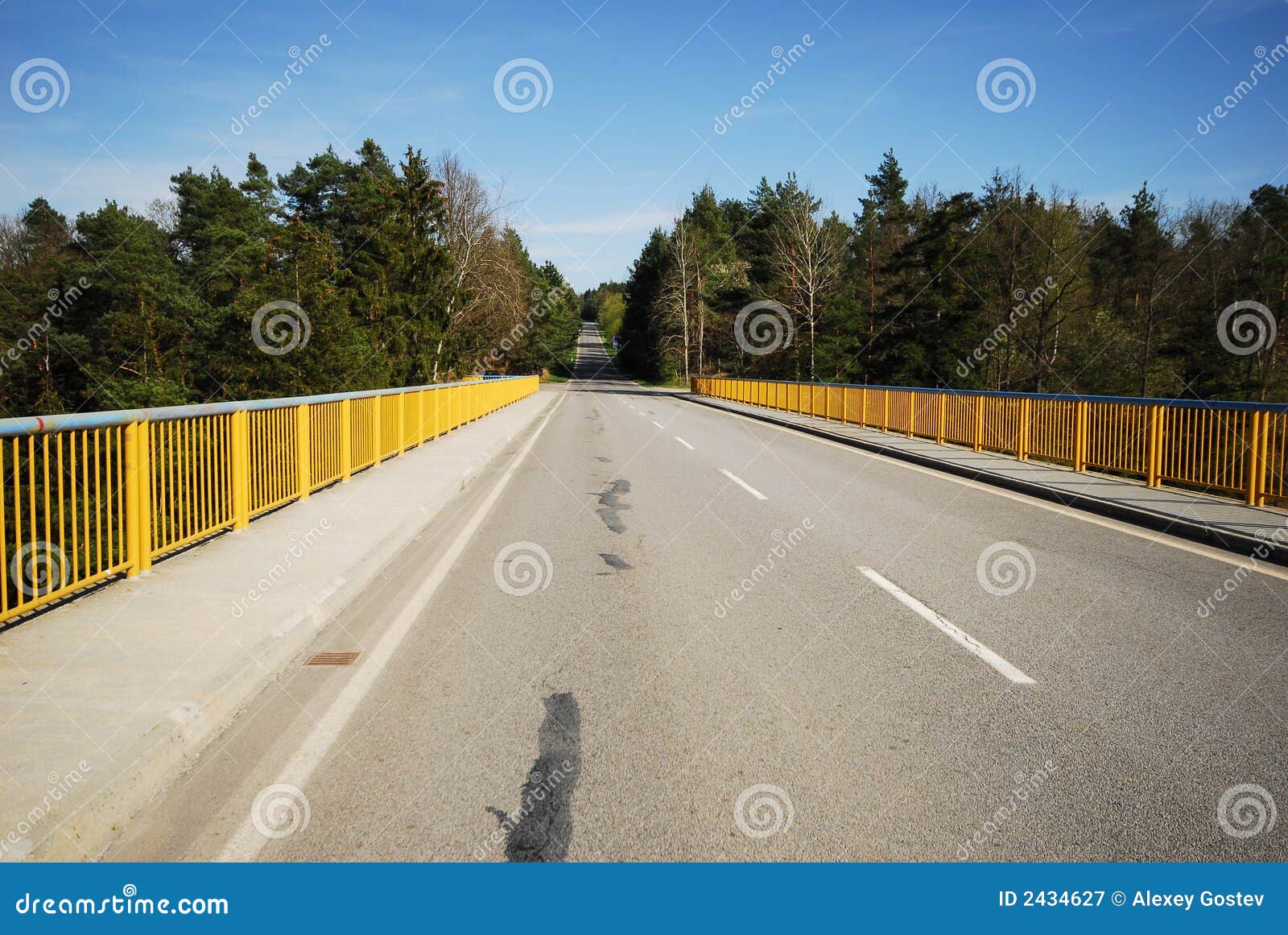High Bridge stock image. Image of czech, plant, tree, bridge - 2434627