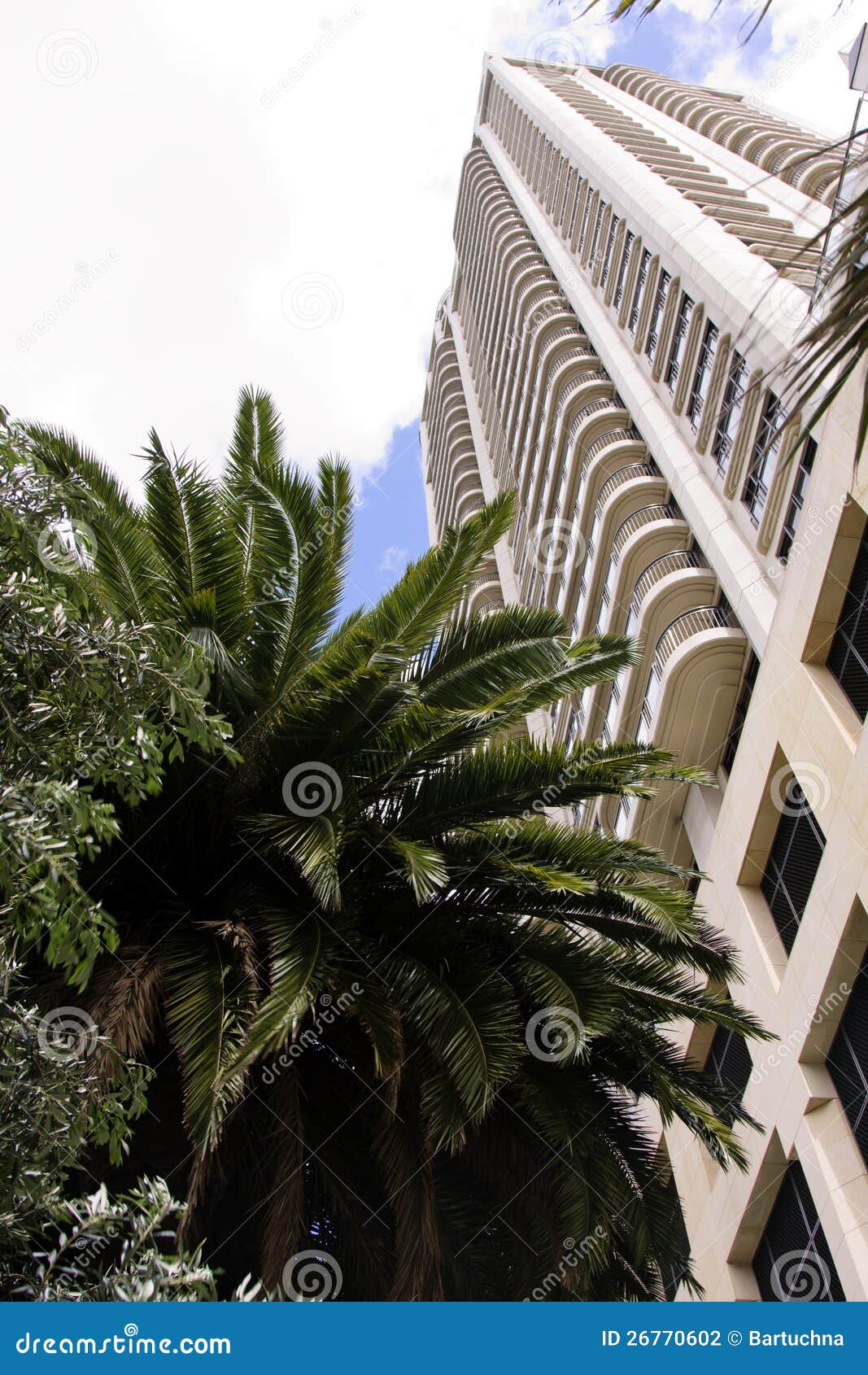 High Building and Palm Tree Stock Photo - Image of design, business ...