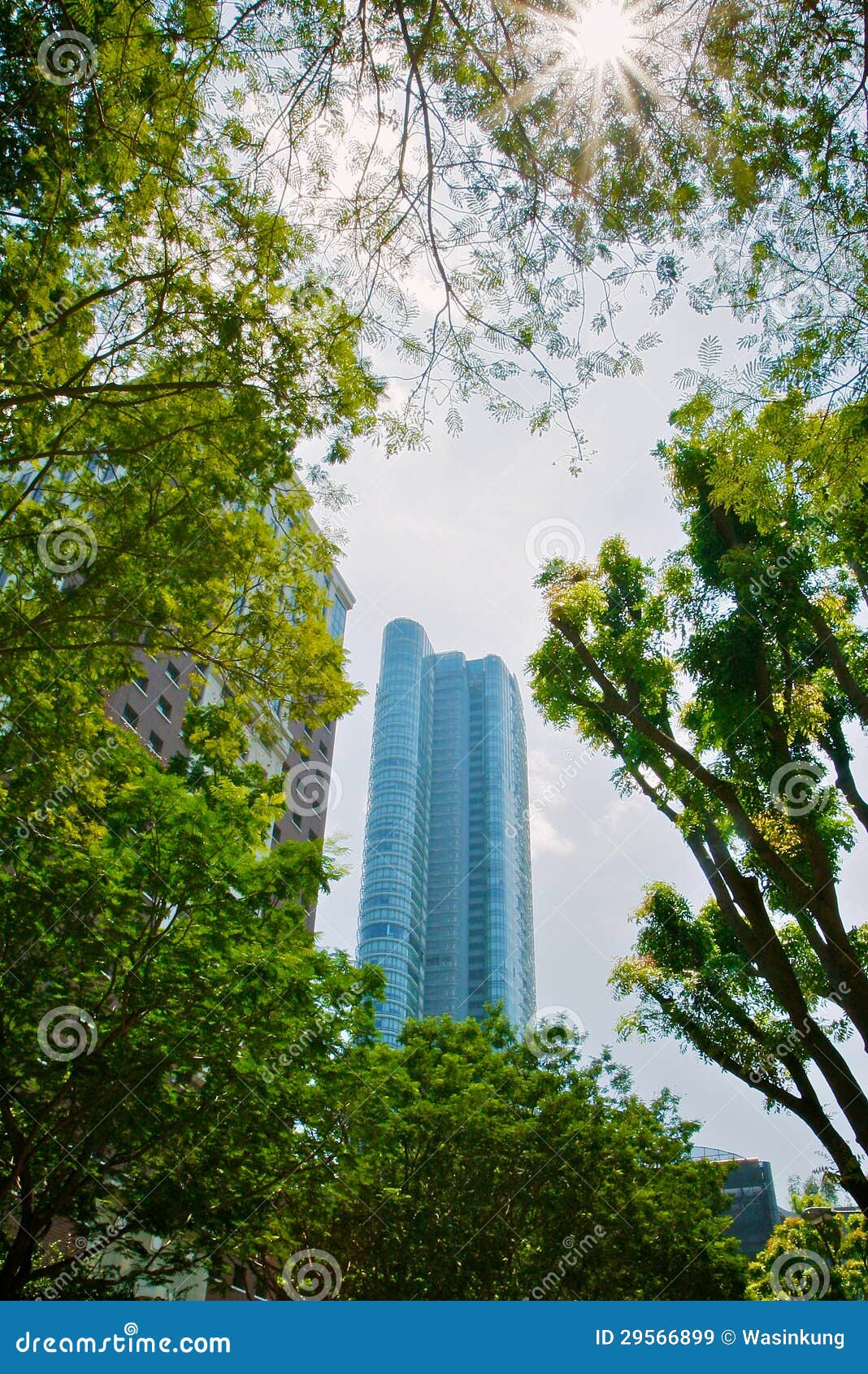 High Building Surrounded by Shades of Tree Stock Image - Image of ...