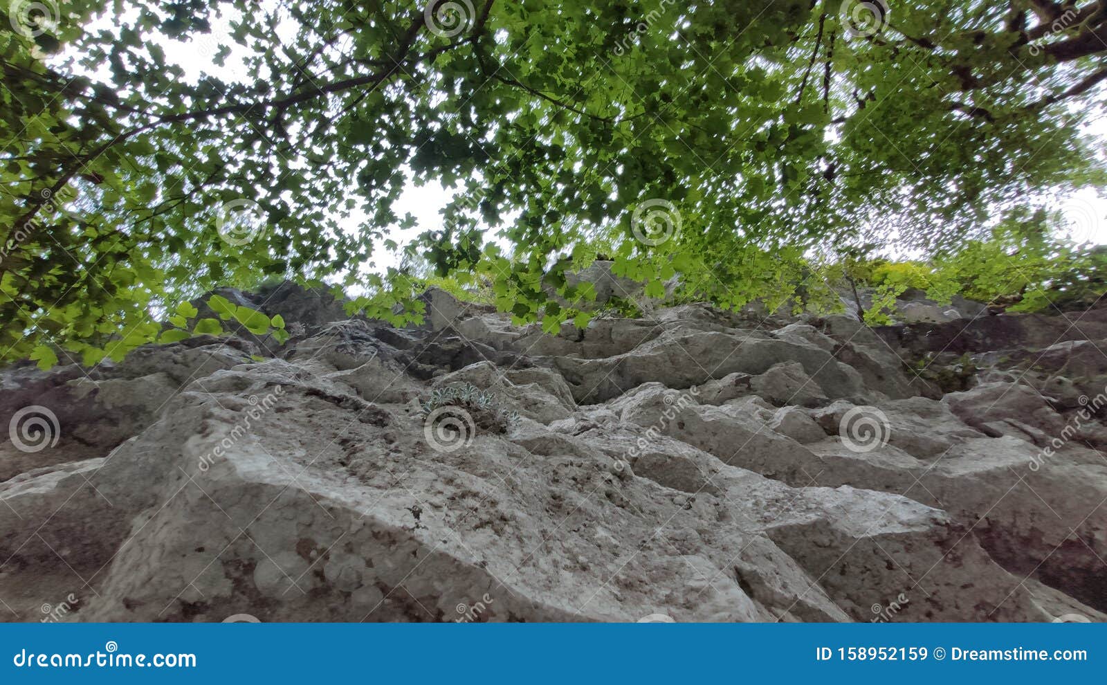 High Cliff in a Green Forest Stock Image - Image of countryside, forest ...