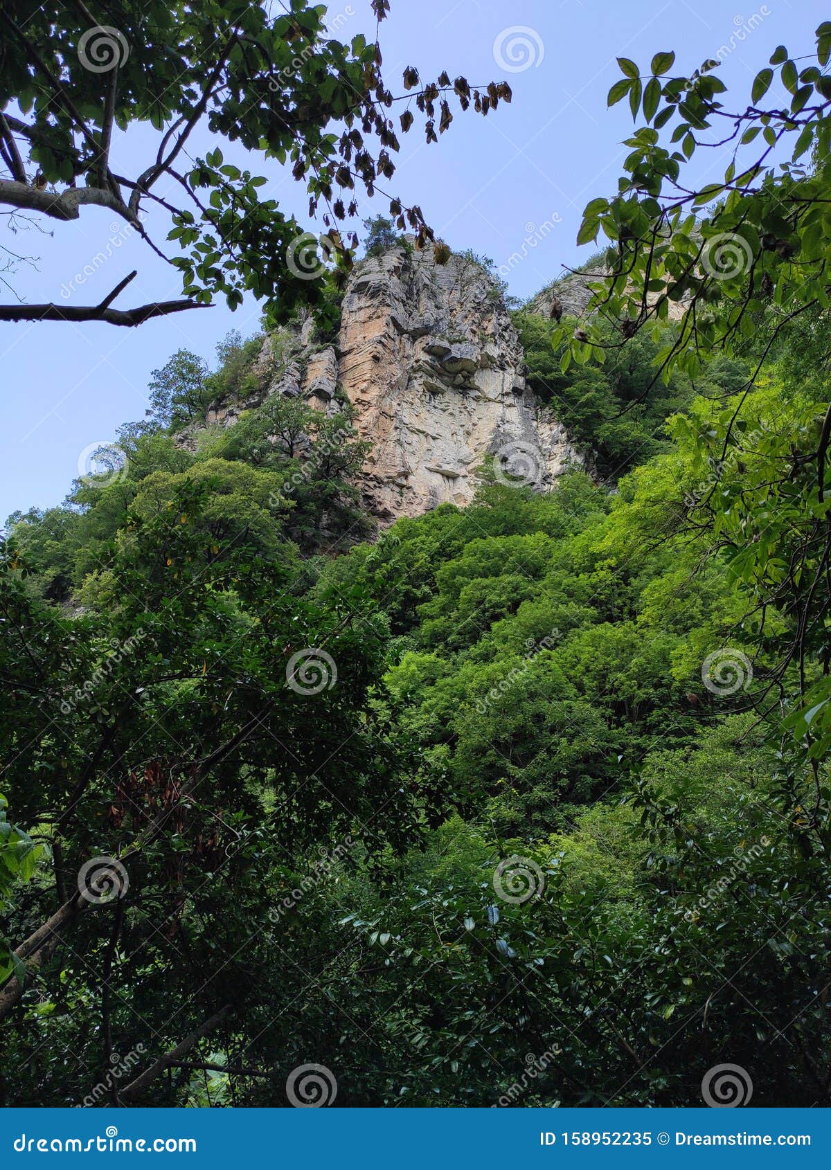 High Cliff in a Green Forest Stock Image - Image of summer, mountains ...