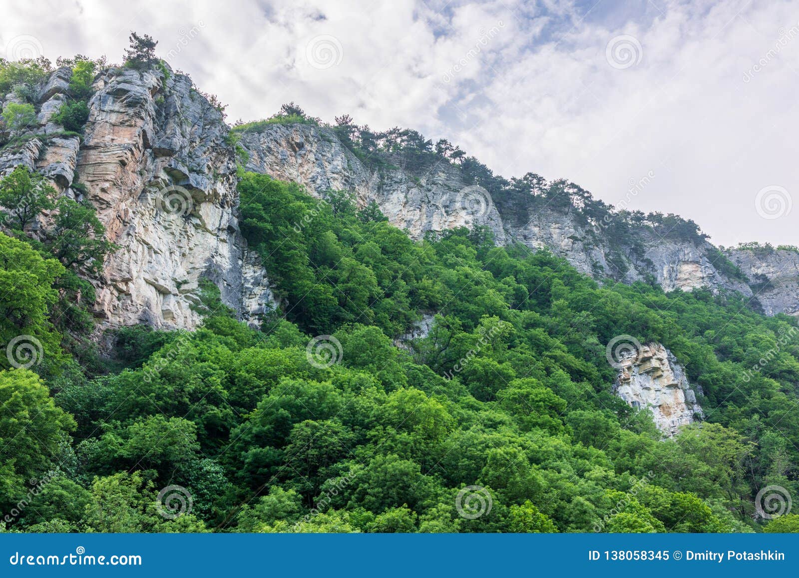 High Cliffs with a Thick Green Forest on the Slopes Stock Image - Image ...