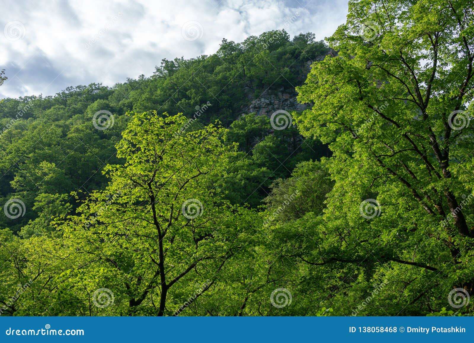 High Cliffs with a Thick Green Forest on the Slopes Stock Photo - Image ...