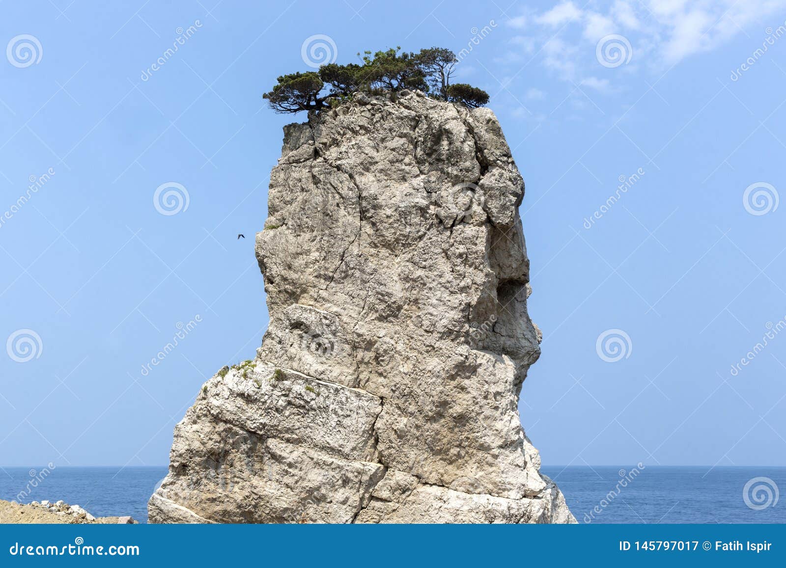 High Cliffs with Trees at Peak of Sea Stock Image - Image of nature ...