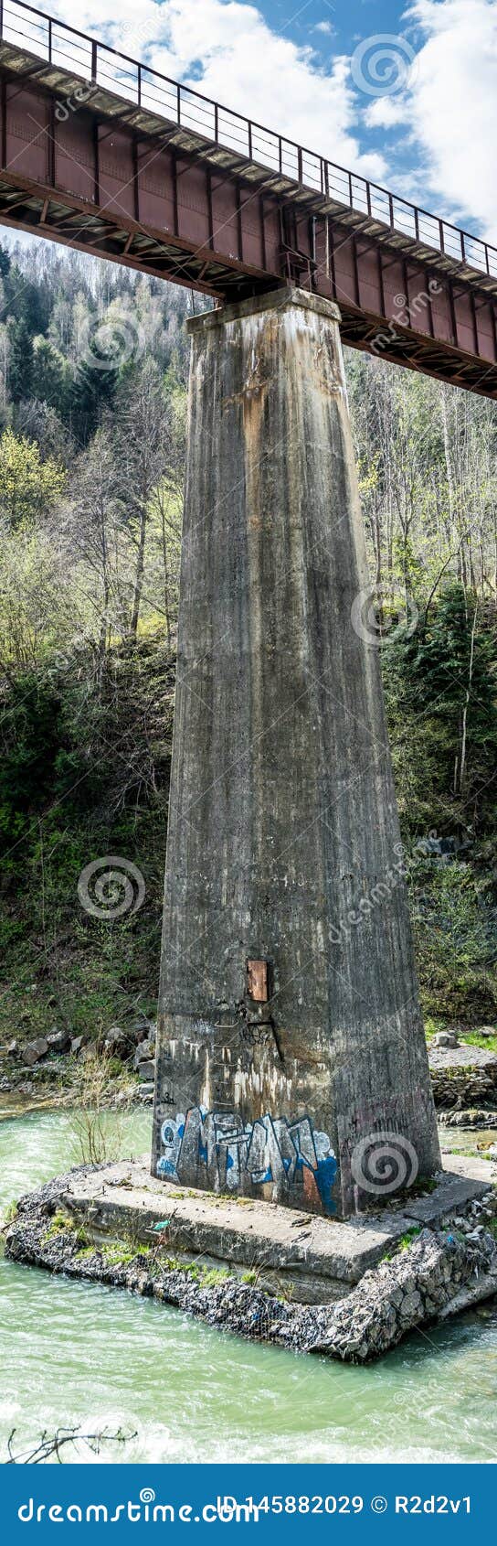 High Column Supporting the Railway Bridge Stock Image - Image of plants ...