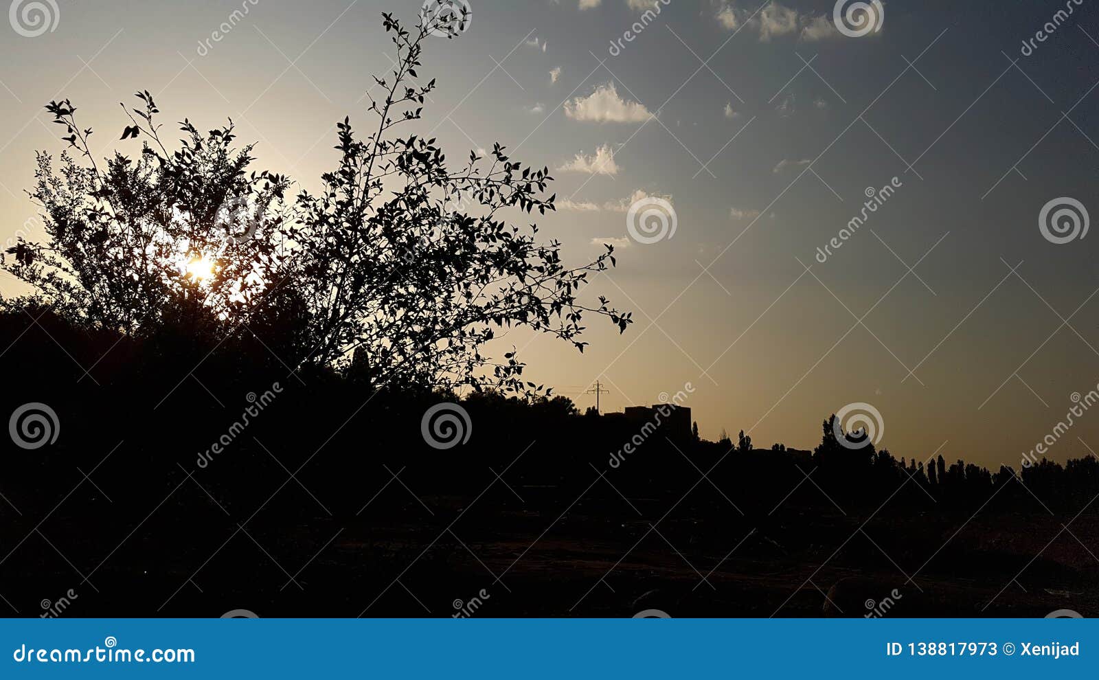 High Contrast the Tree and the Sky Stock Image - Image of horizontal ...