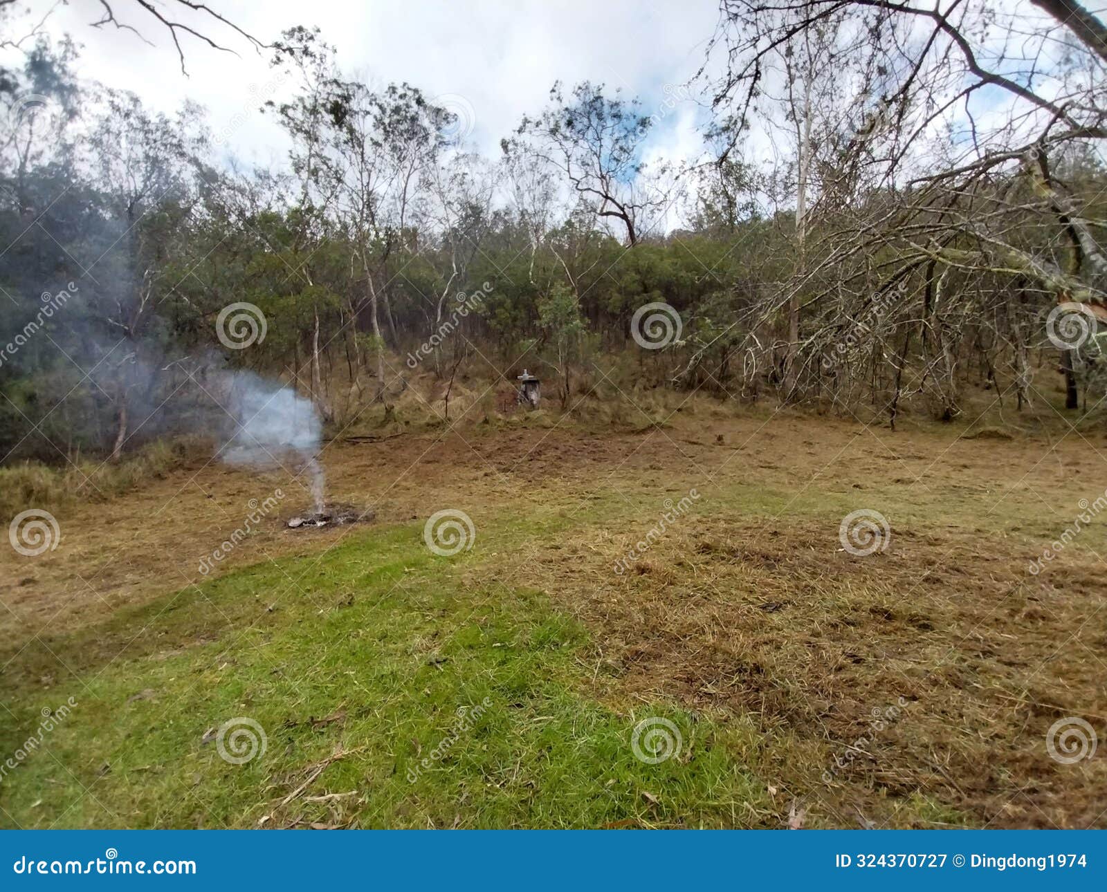 High Country Fun Clearing Camping Stock Image - Image of high, camping ...