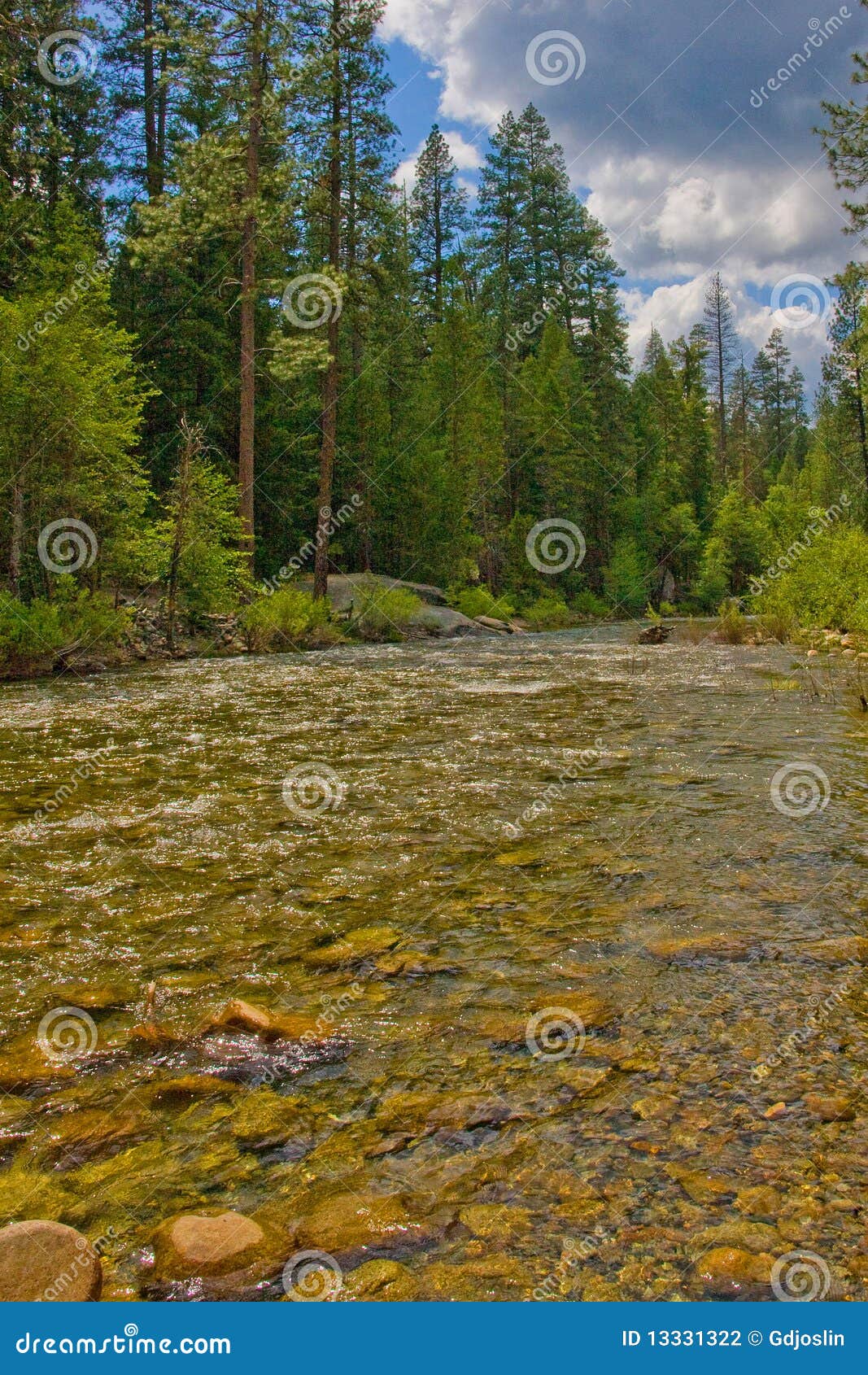 High Country Stream stock photo. Image of forest, river - 13331322