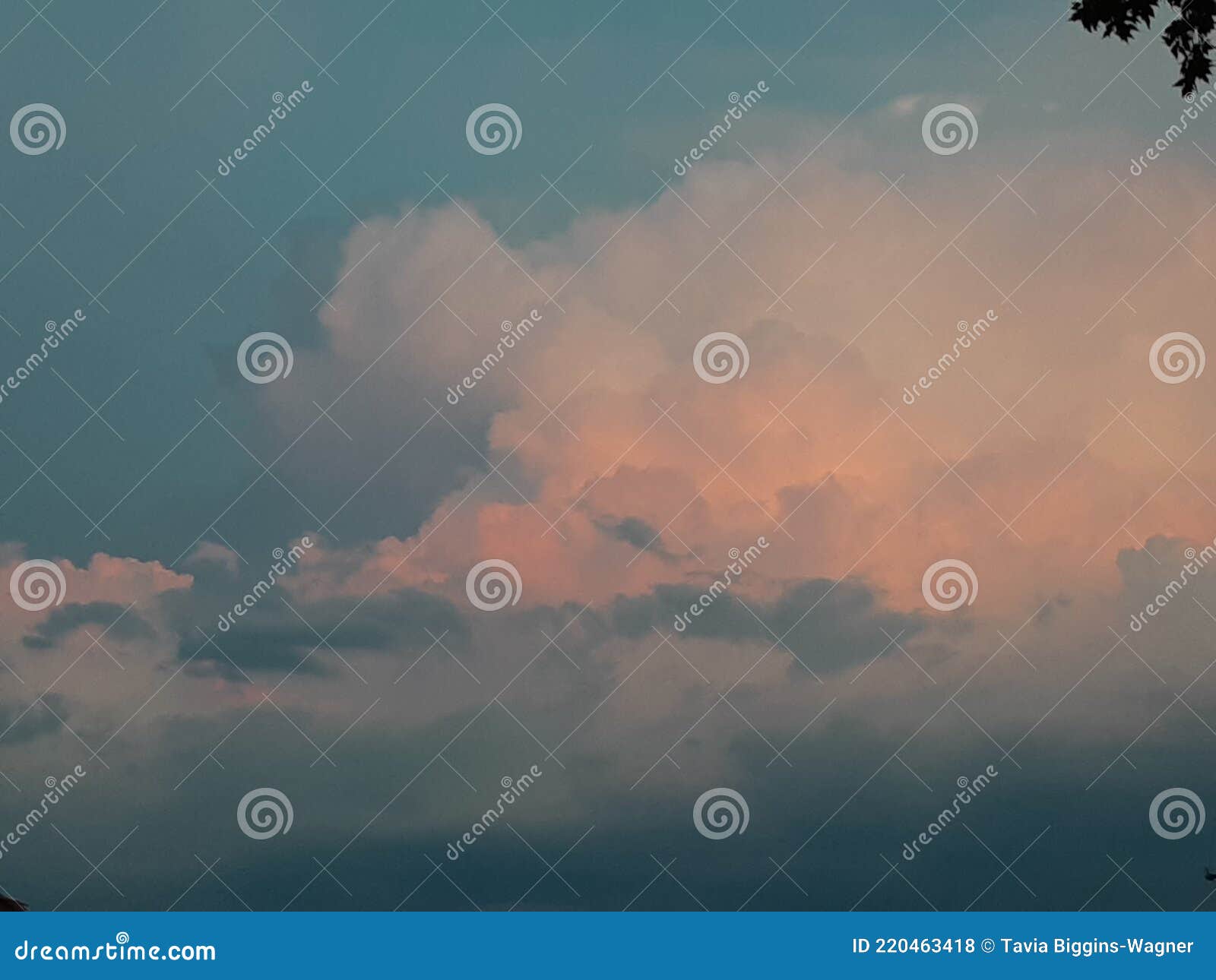 High definition clouds stock photo. Image of coast, sunlight - 220463418
