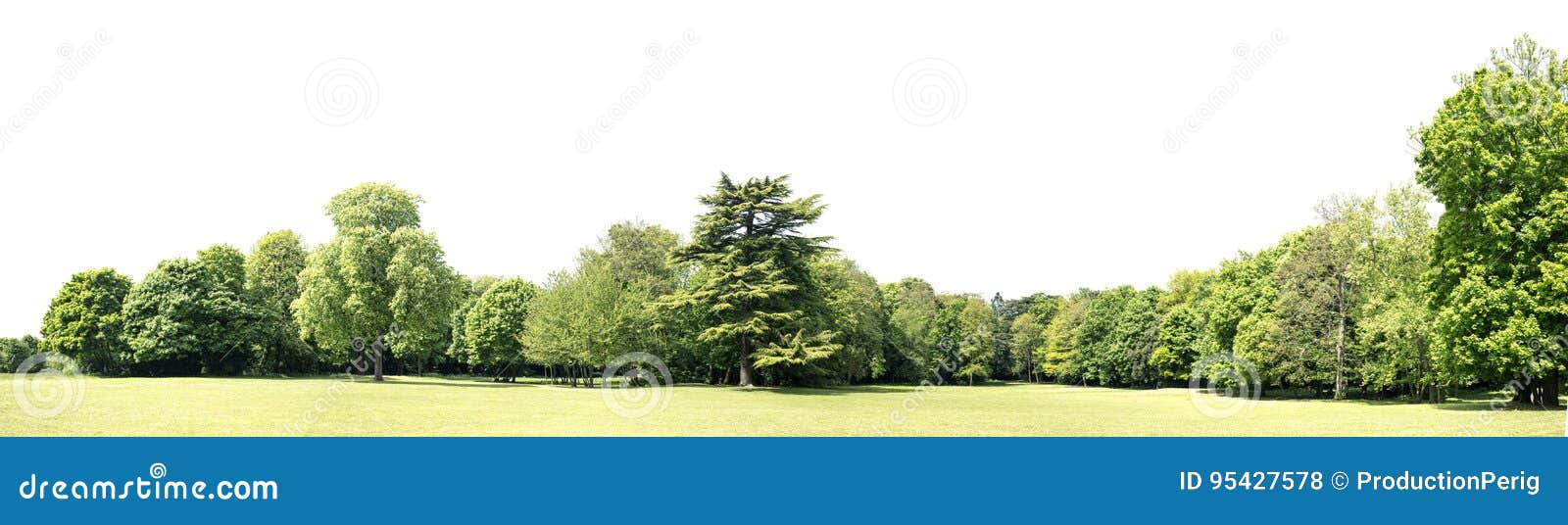 High Definition Treeline Isolated on a White Background Stock Photo ...
