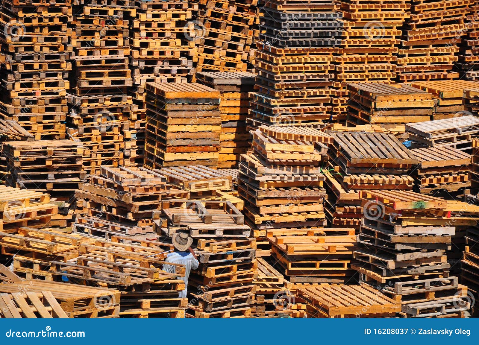 Stack of pallets. stock image. Image of plenty, pallets - 16208037